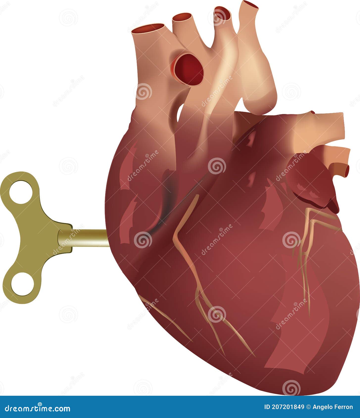 Drainal Stock Illustrations – 1 Drainal Stock Illustrations, Vectors ...