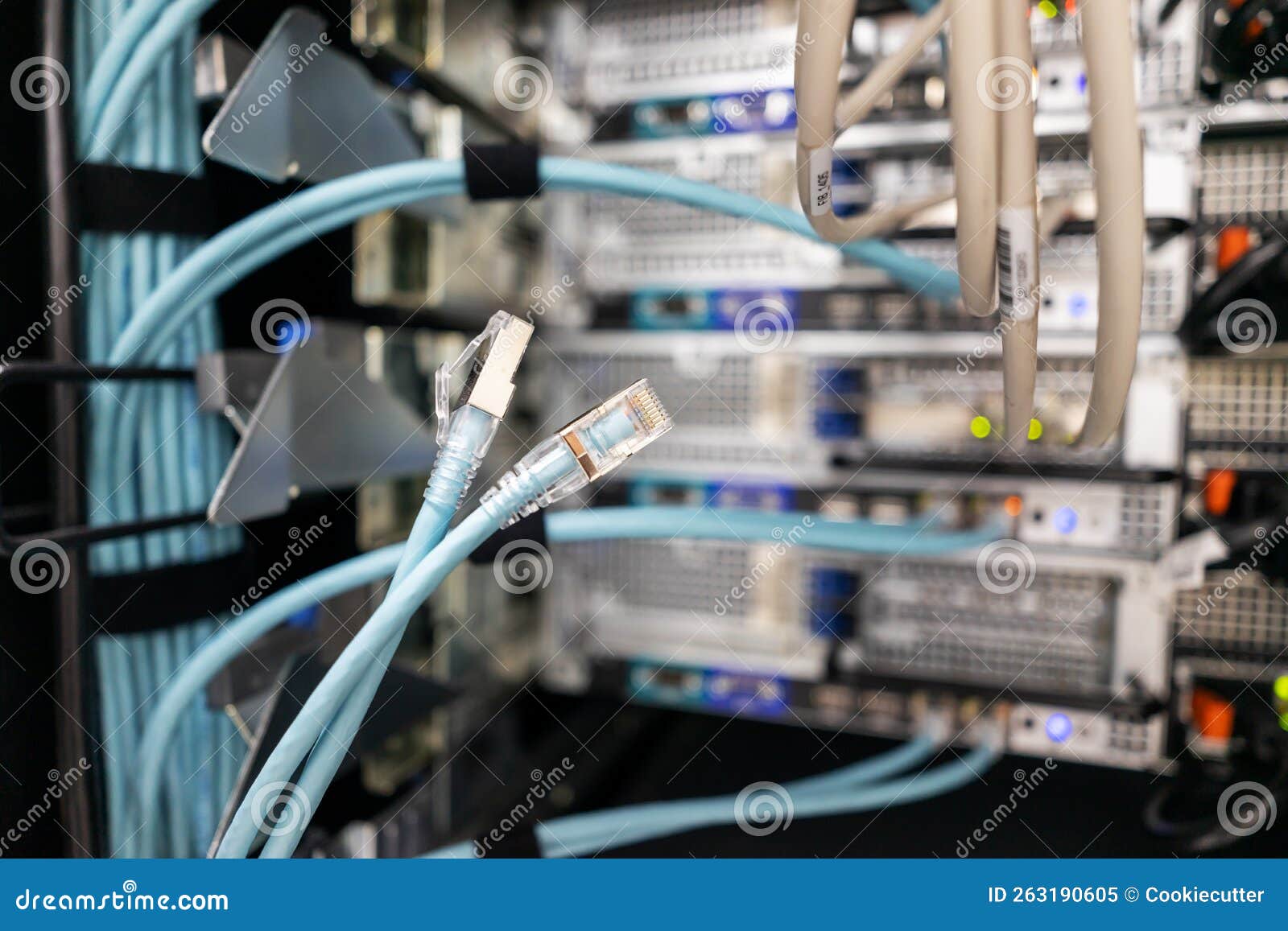 The Heart and Importance of a Network Server is a Matter of Feeling ...