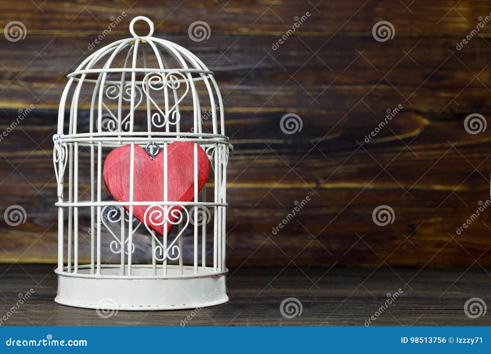 Heart inside the bird cage stock photo. Image of feeling - 98513756