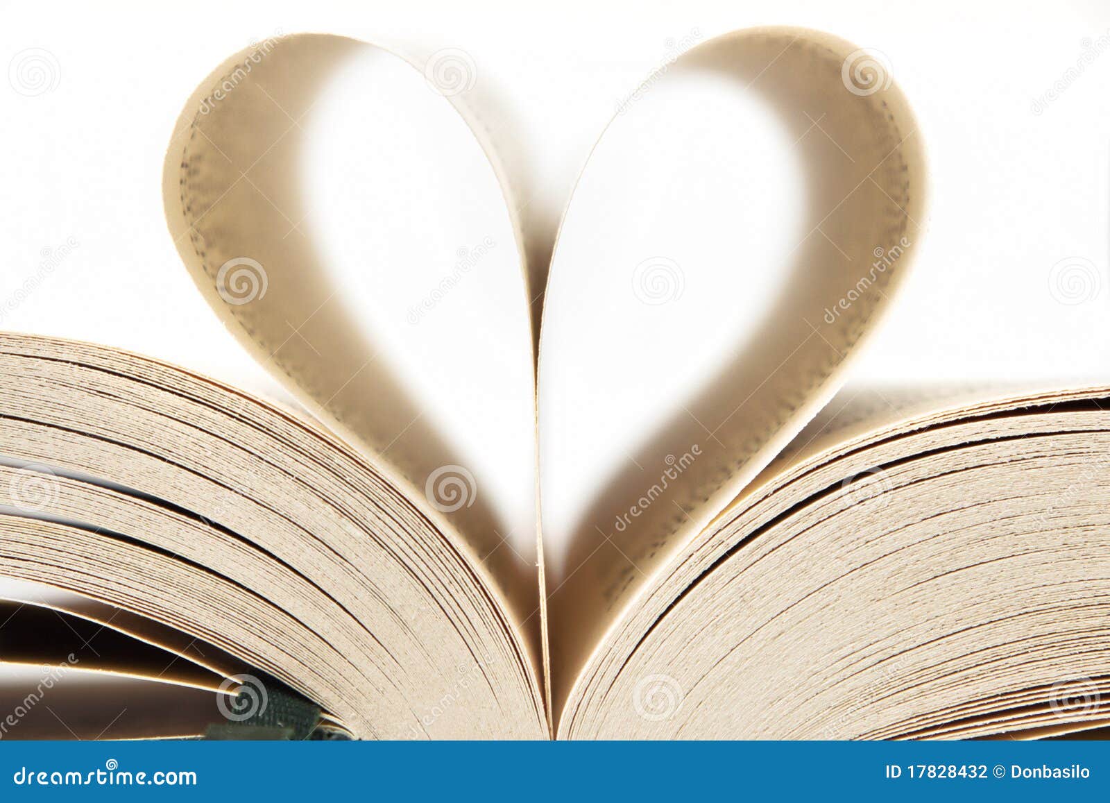 Heart inside a book stock photo. Image of lovely, passion - 17828432