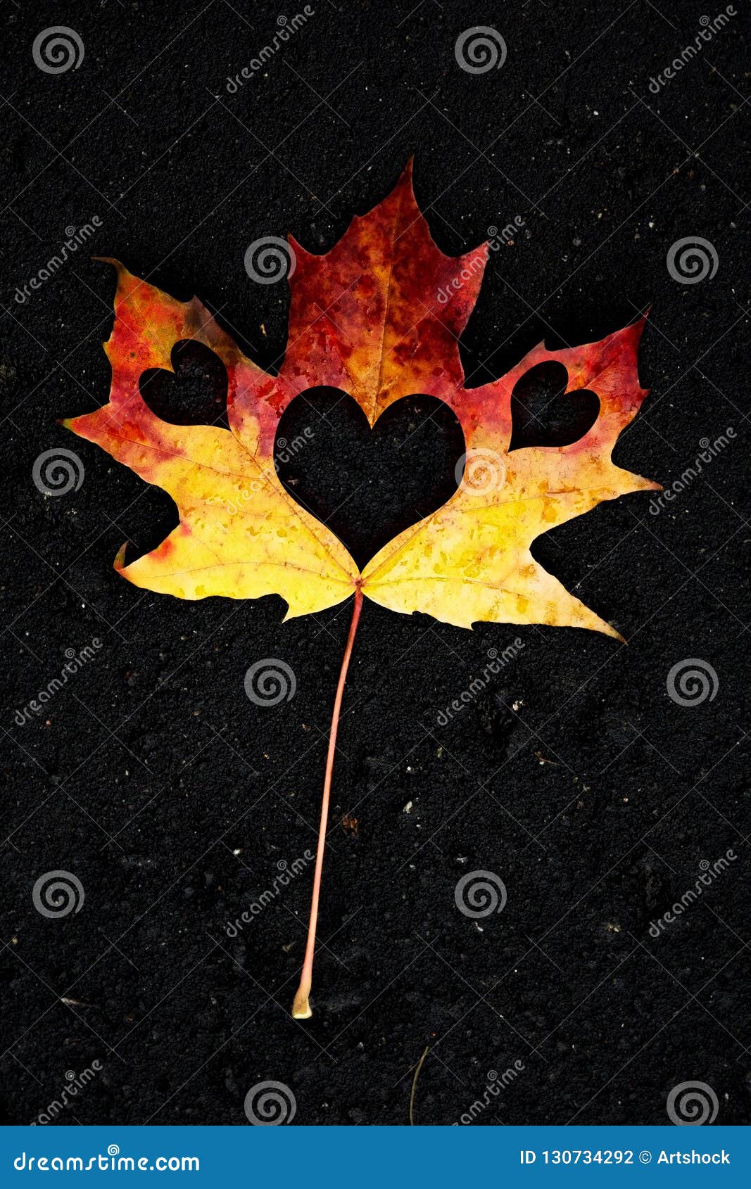 Heart Inside of Maple Leaf on Black Stock Photo - Image of october ...