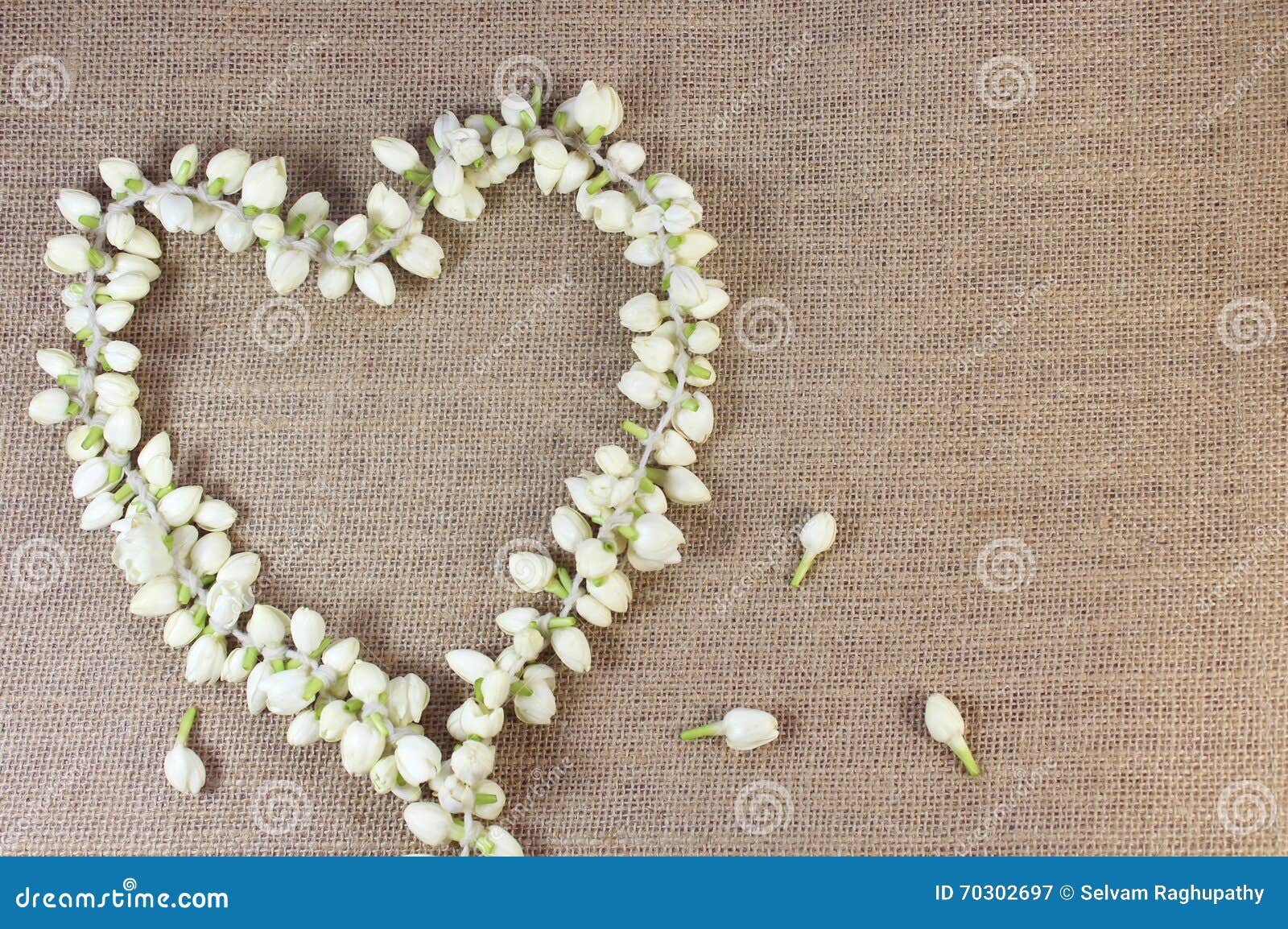Heart of jasmine stock image. Image of handmade, banner - 70302697