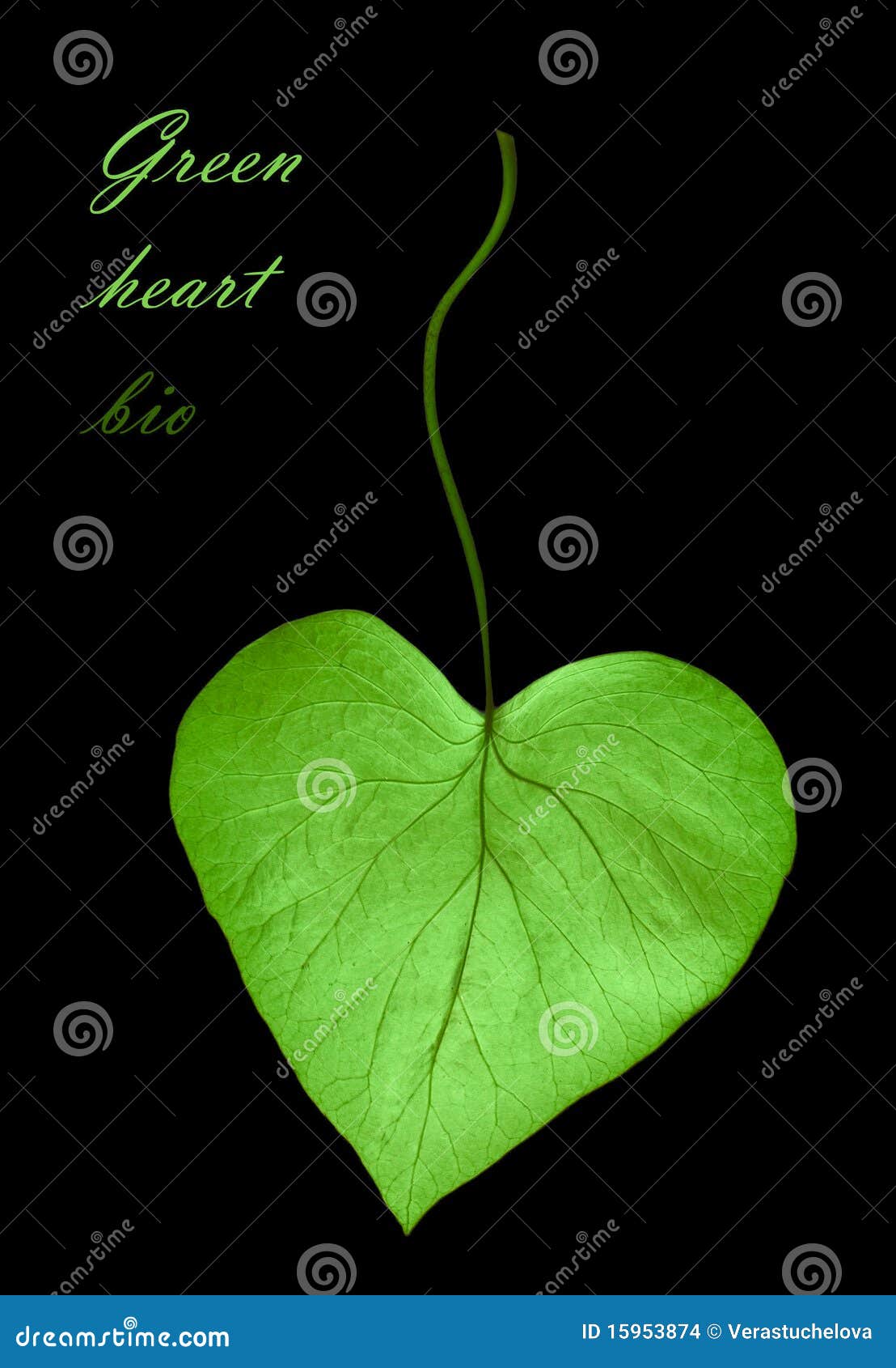 Heart from Leaf - Bio Concept Stock Photo - Image of flora, curved ...