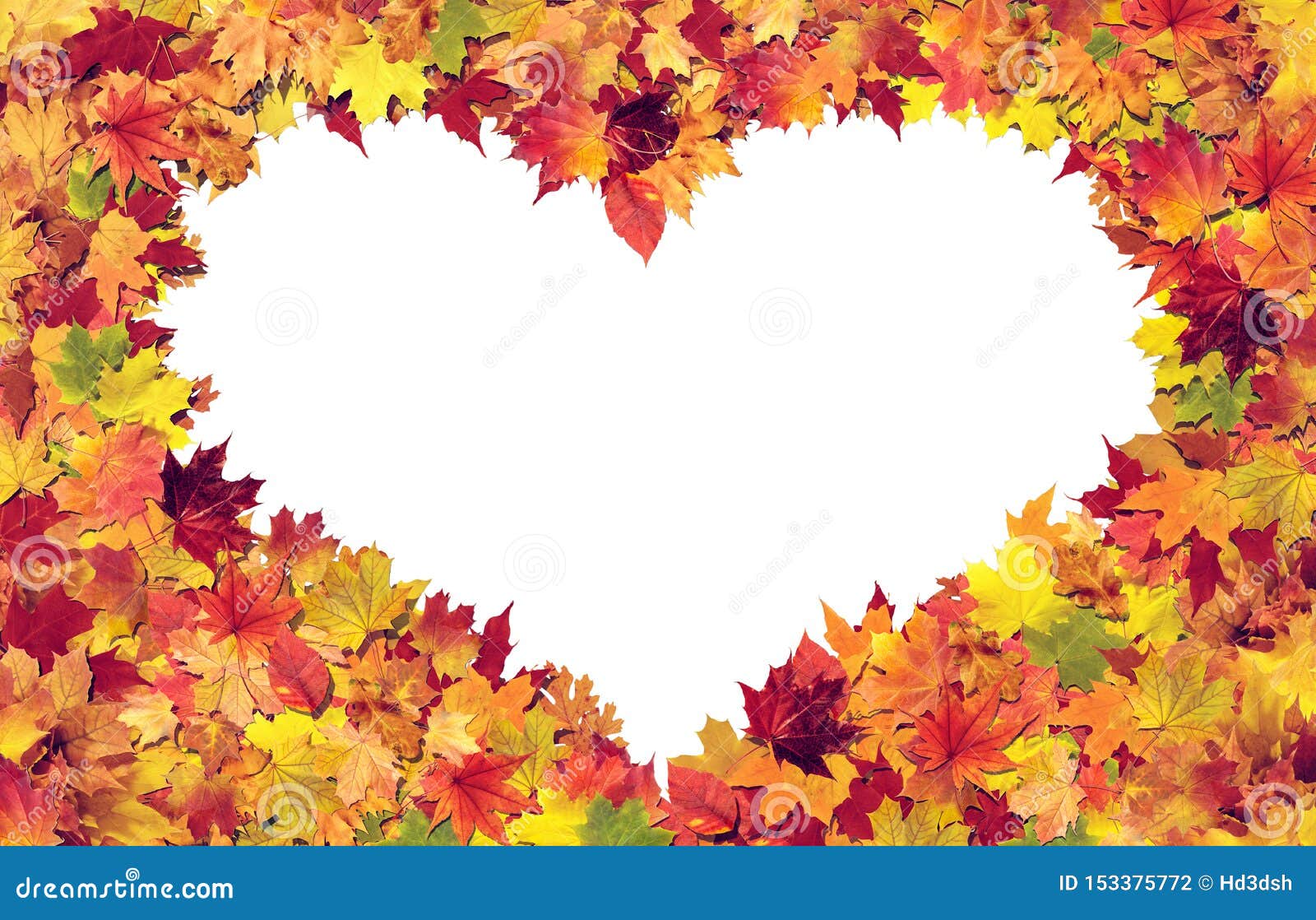 Heart Made from Autumn Leaves Isolated on White Background Stock ...