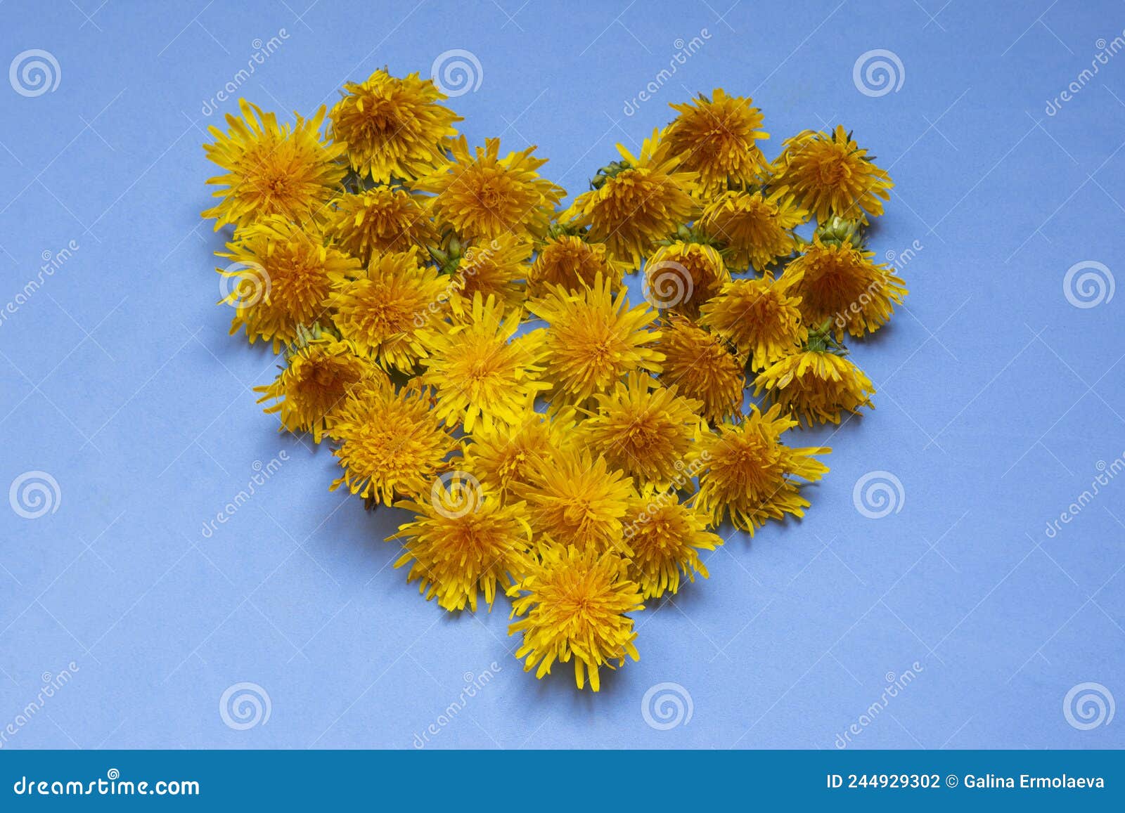 Heart Made of Dandelions on a Blue Background Comma Love for Spring ...