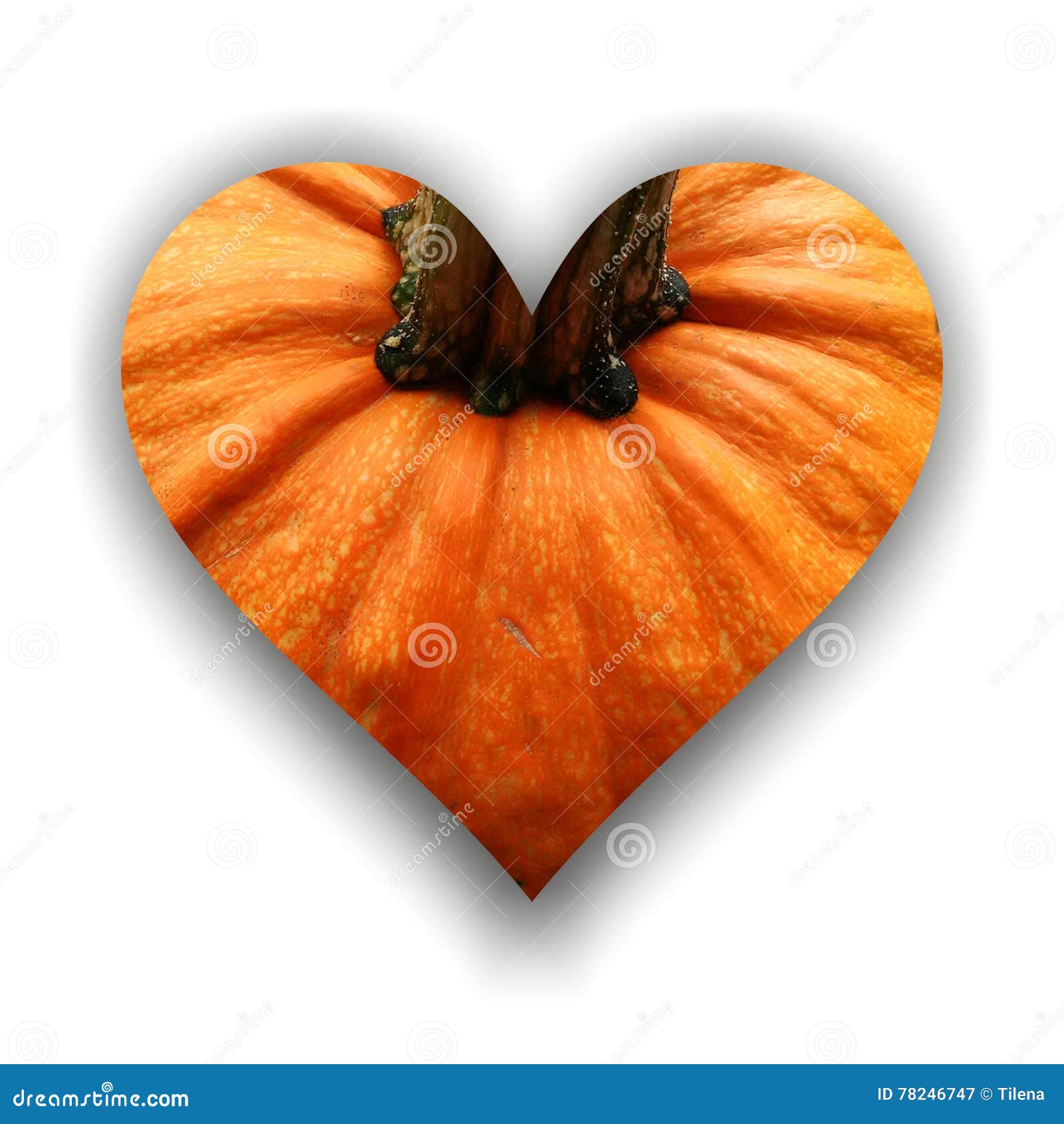 Heart made from pumpkin stock image. Image of color, growing - 78246747