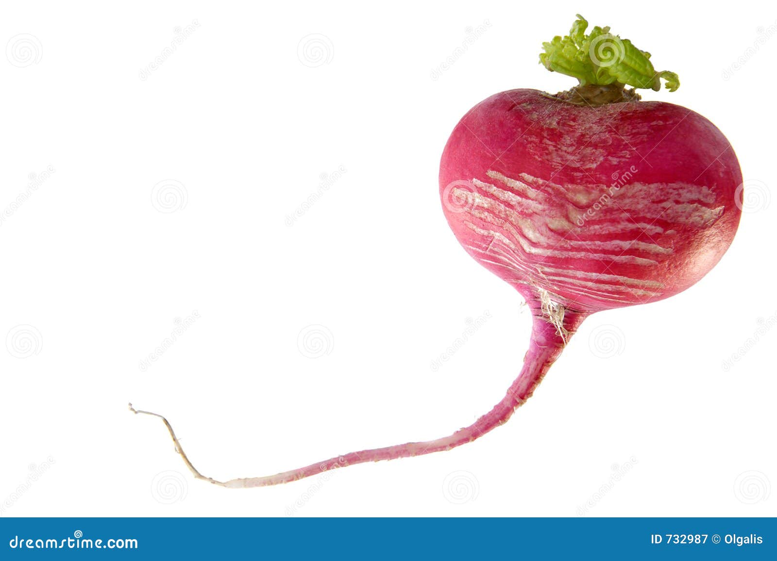 Heart made of radish stock image. Image of cookery, enamoured - 732987