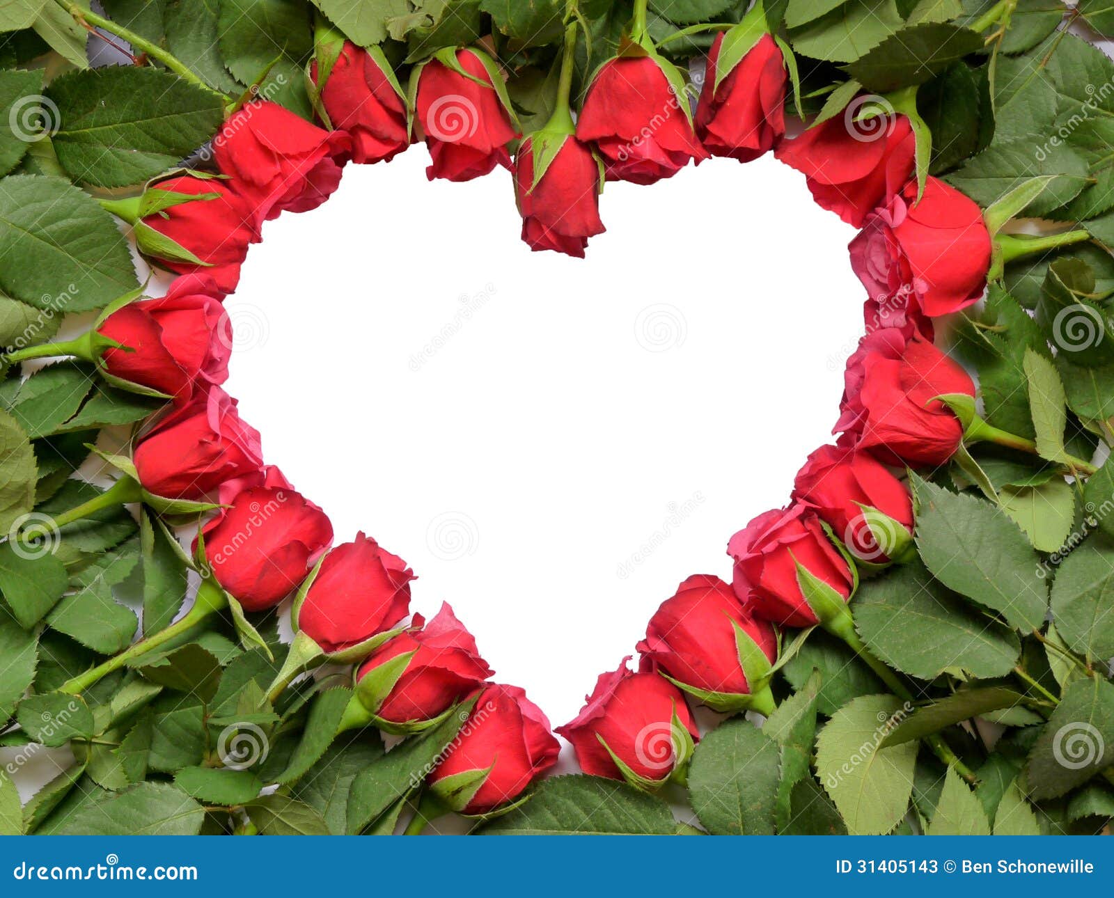 Heart Made of Red Roses with Stem Stock Image - Image of delicate ...