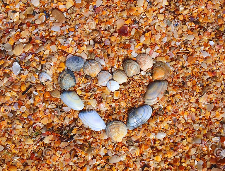 Heart and Made of Sea-shells on the Beach Stock Photo - Image of ...