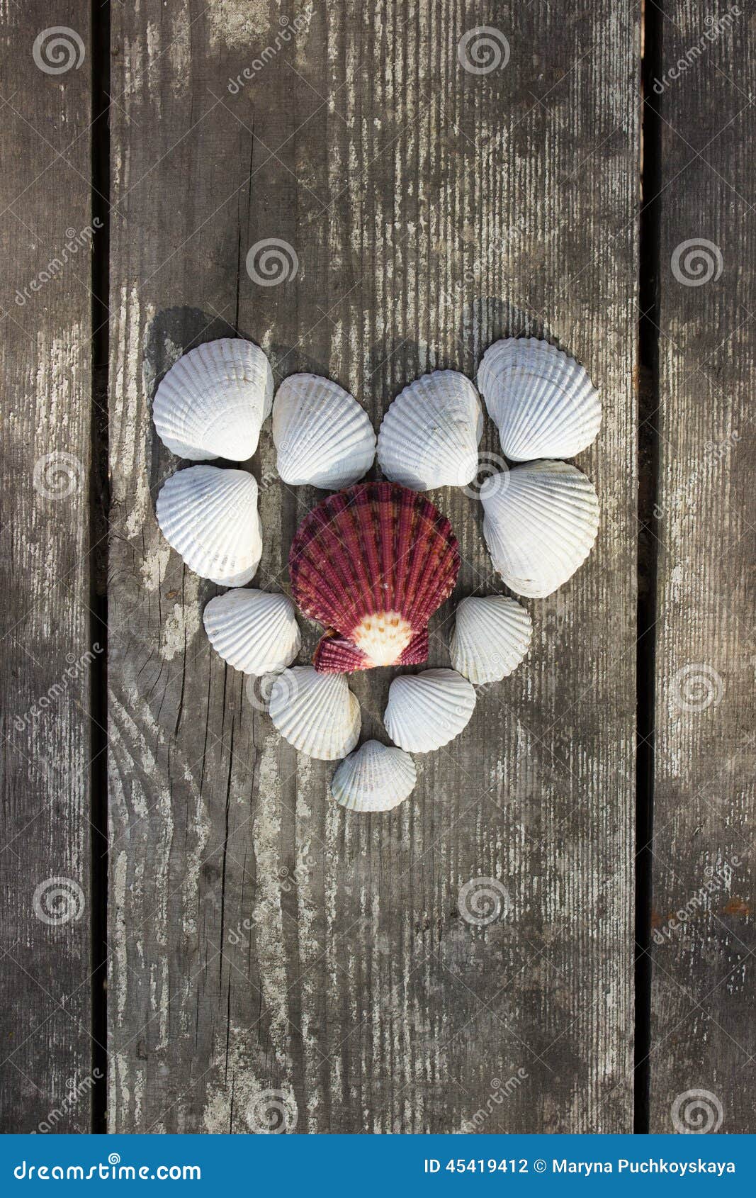 Heart made of sea shells stock photo. Image of decoration - 45419412