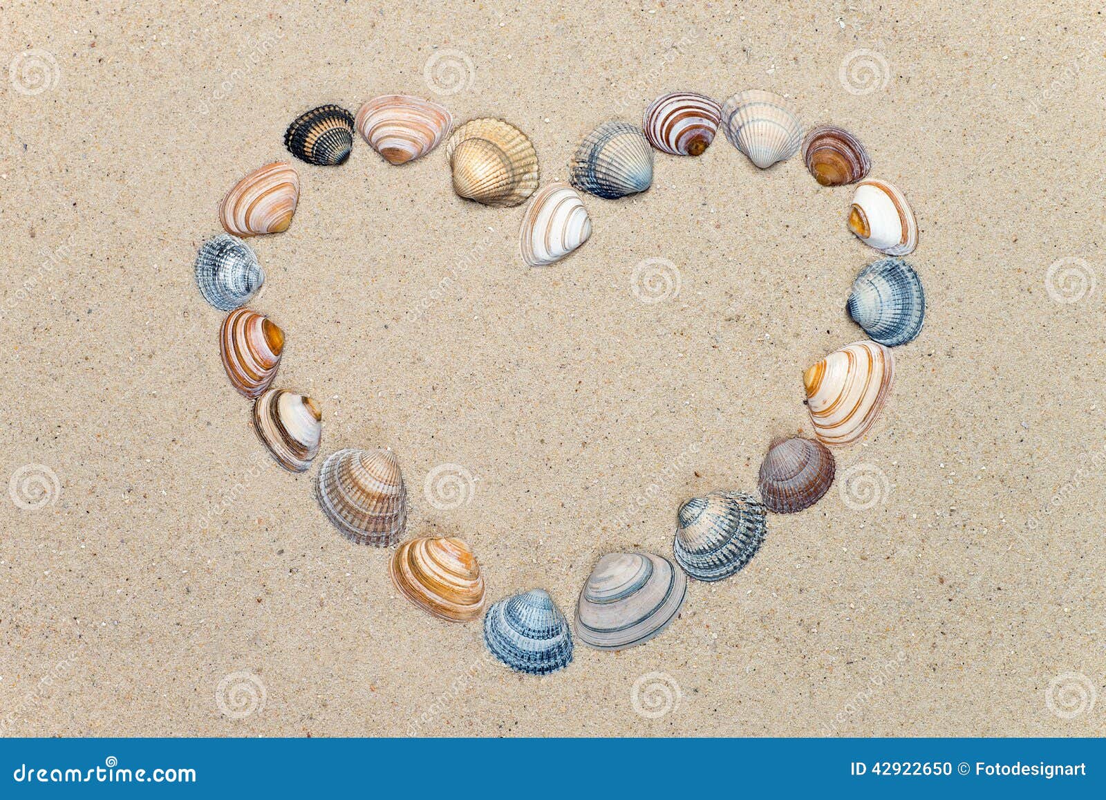 A heart made by shell stock photo. Image of shell, romance - 42922650
