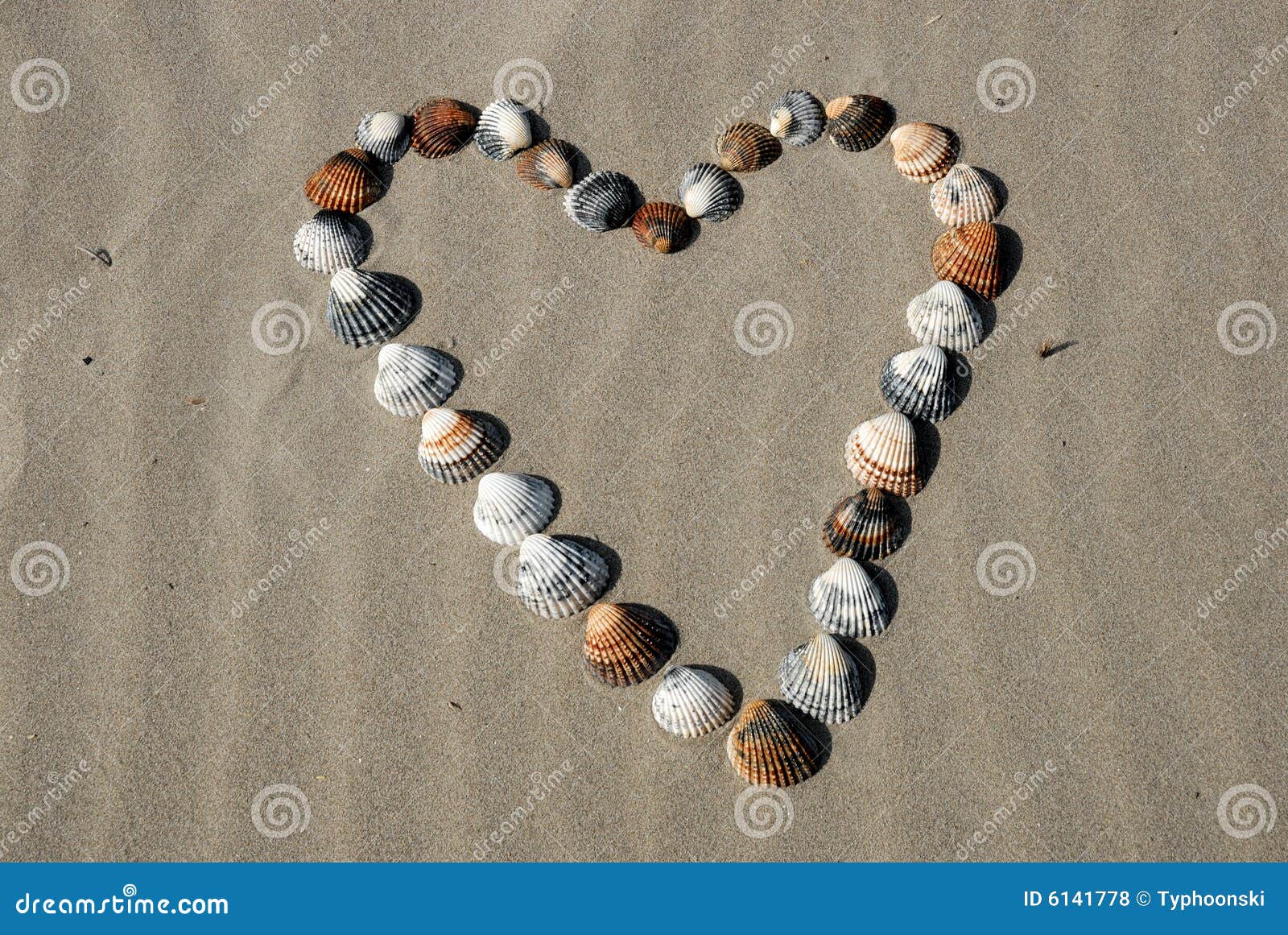 Heart made of shells stock photo. Image of outdoor, seashells - 6141778