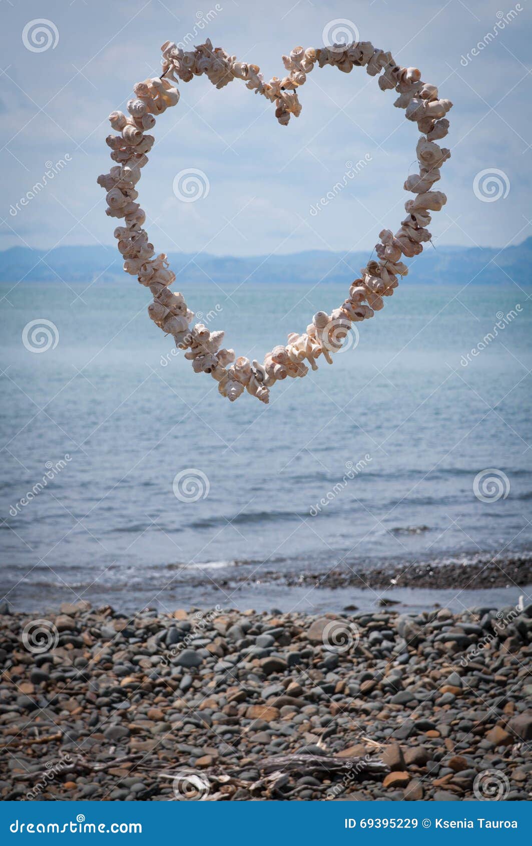 Heart made of shells stock image. Image of heart, design - 69395229