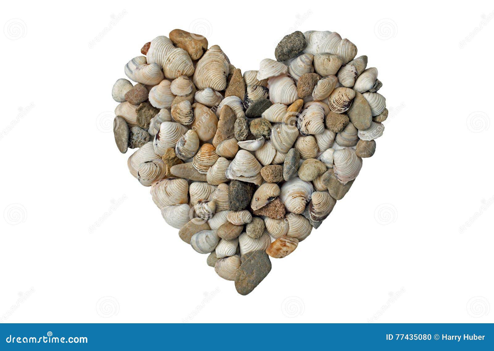 Heart made of shells stock photo. Image of stones, plaster - 77435080