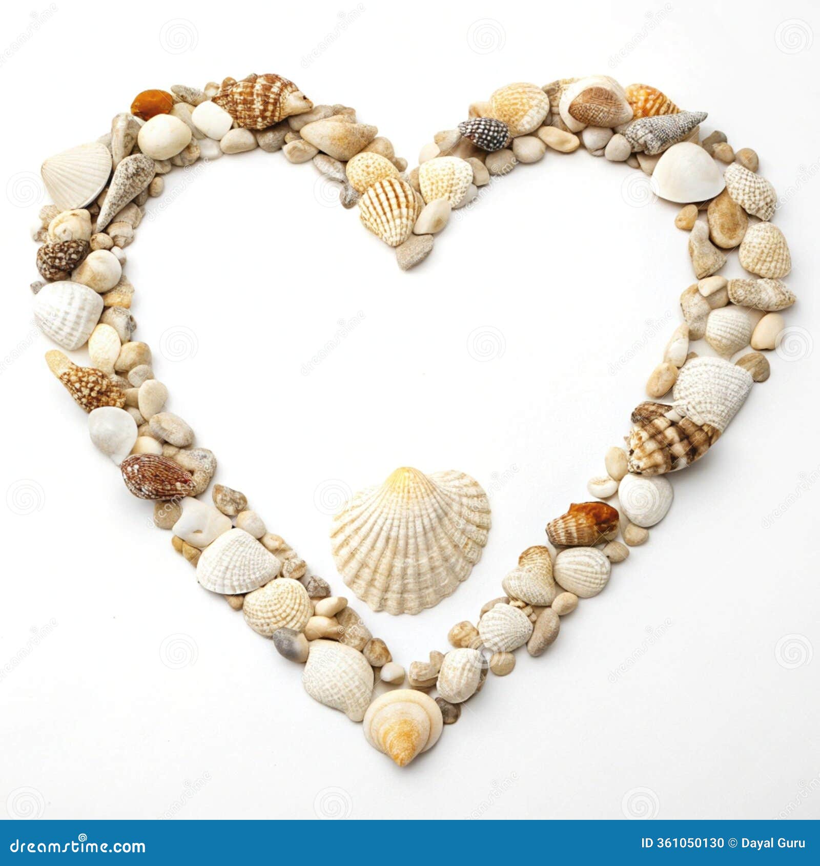 Heart Made of Shells and Seashells Isolated on White Background Stock ...