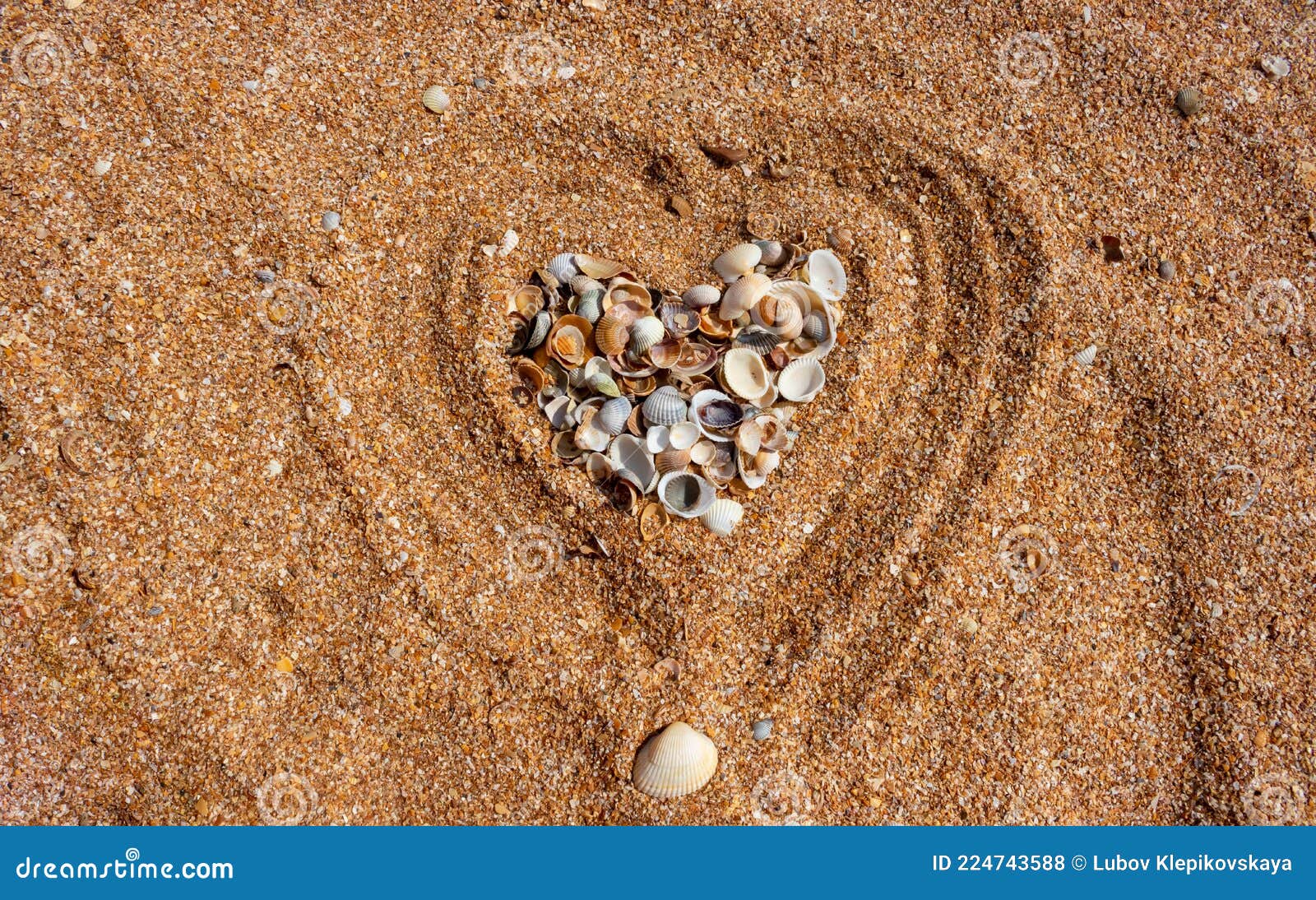 A Heart Made of Shells on Wet Sea Sand Stock Photo - Image of ecology ...