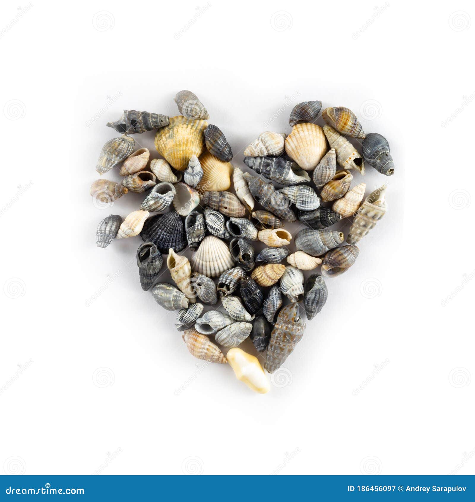Heart Made of Shells on a White Background Isolate Stock Image - Image ...