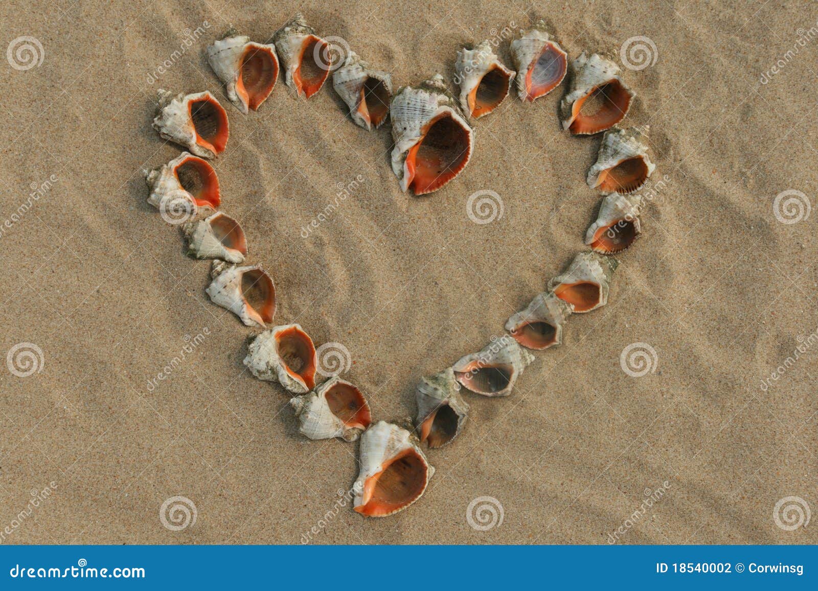 Heart maked of shells. stock photo. Image of serene, shell - 18540002