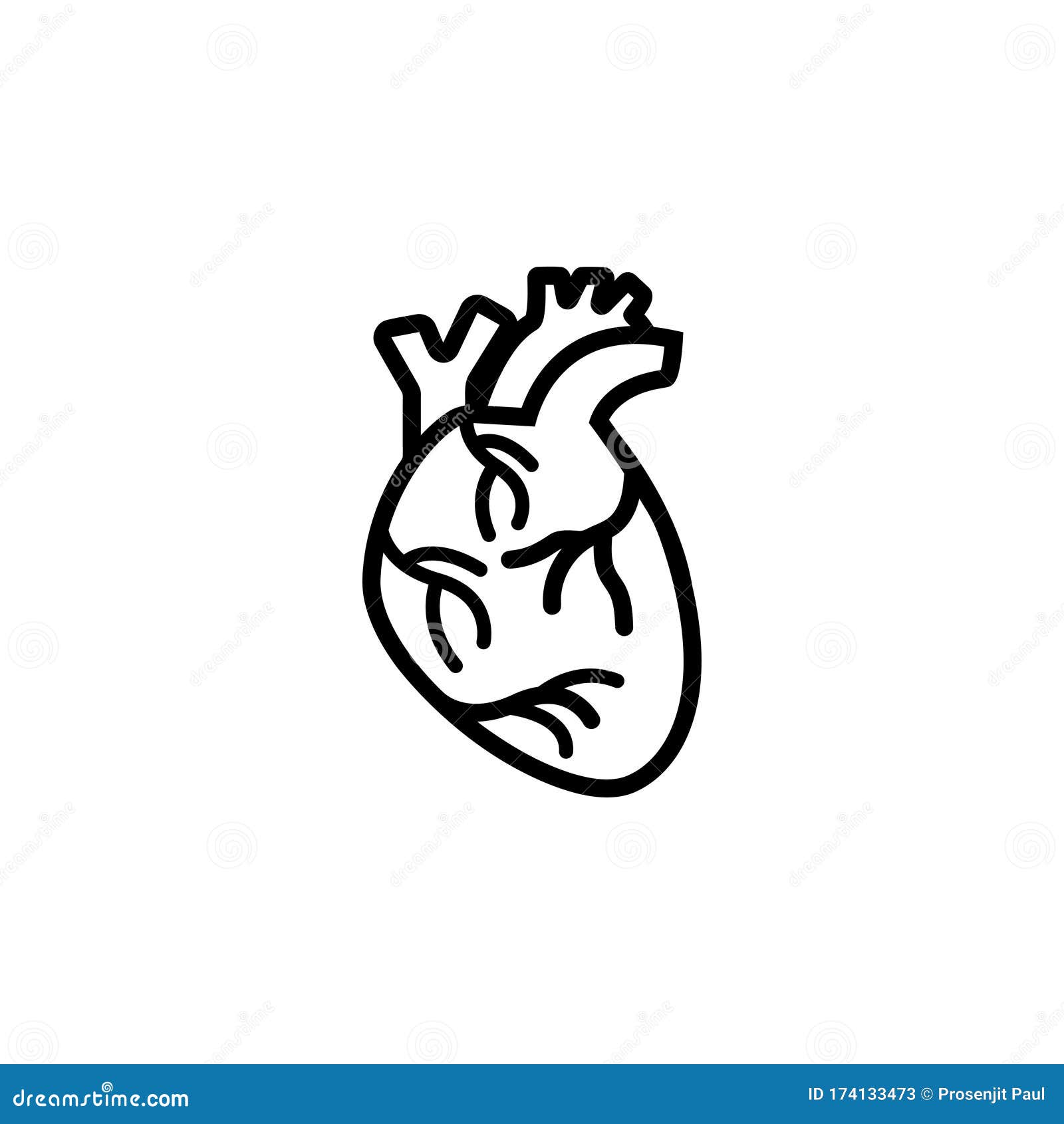 Heart, Man Heart, Human Heart Icon Stock Vector - Illustration of ...
