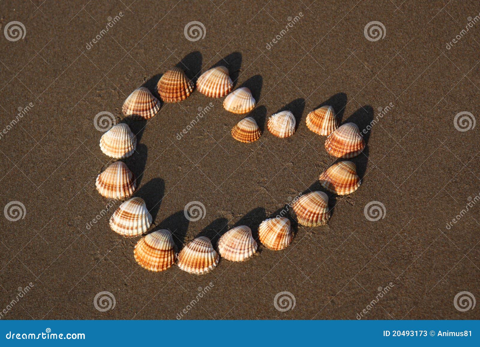 Heart of mussels stock image. Image of valentine, holiday - 20493173