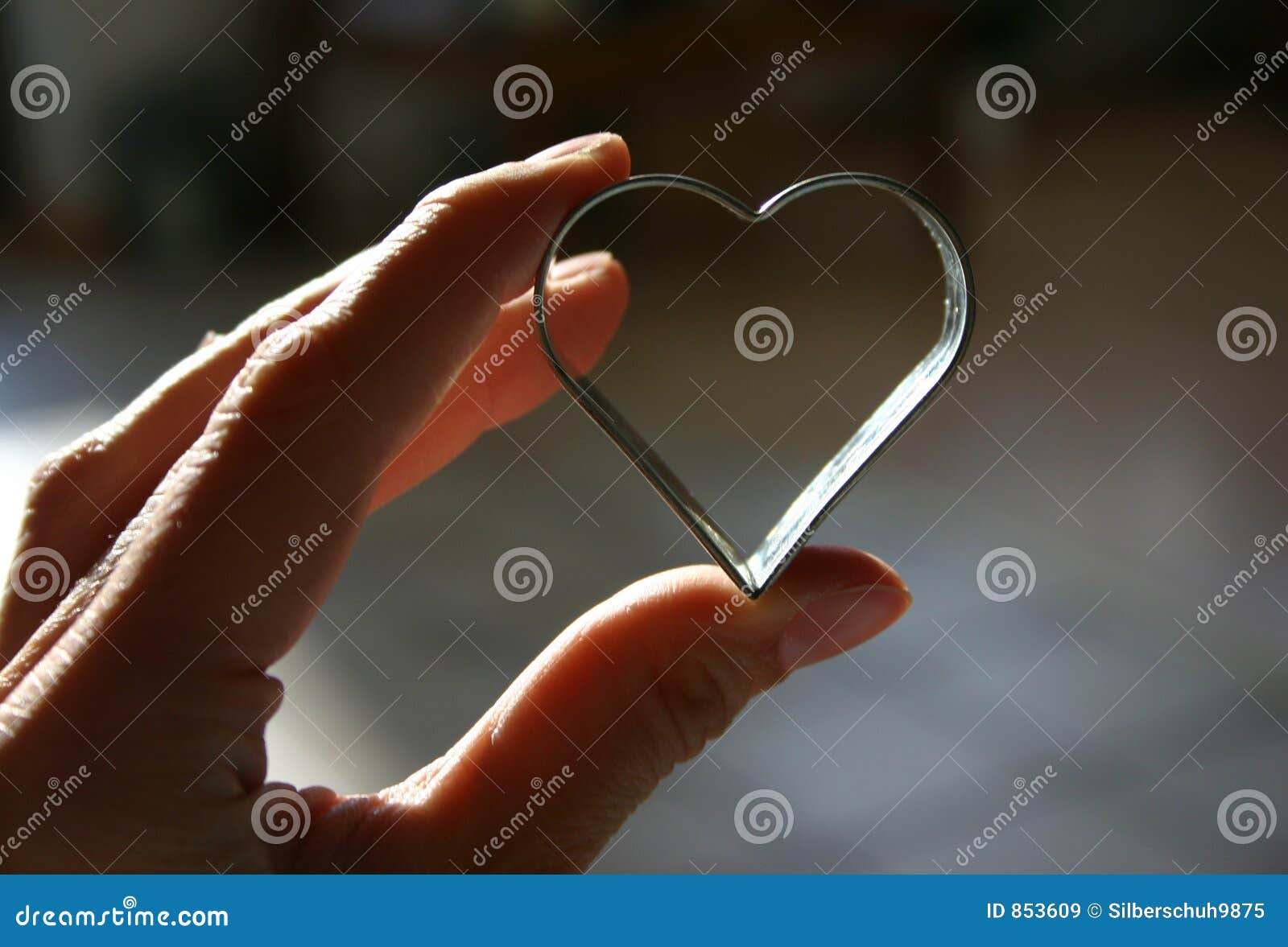 Heart in my hand stock image. Image of ornament, light - 853609