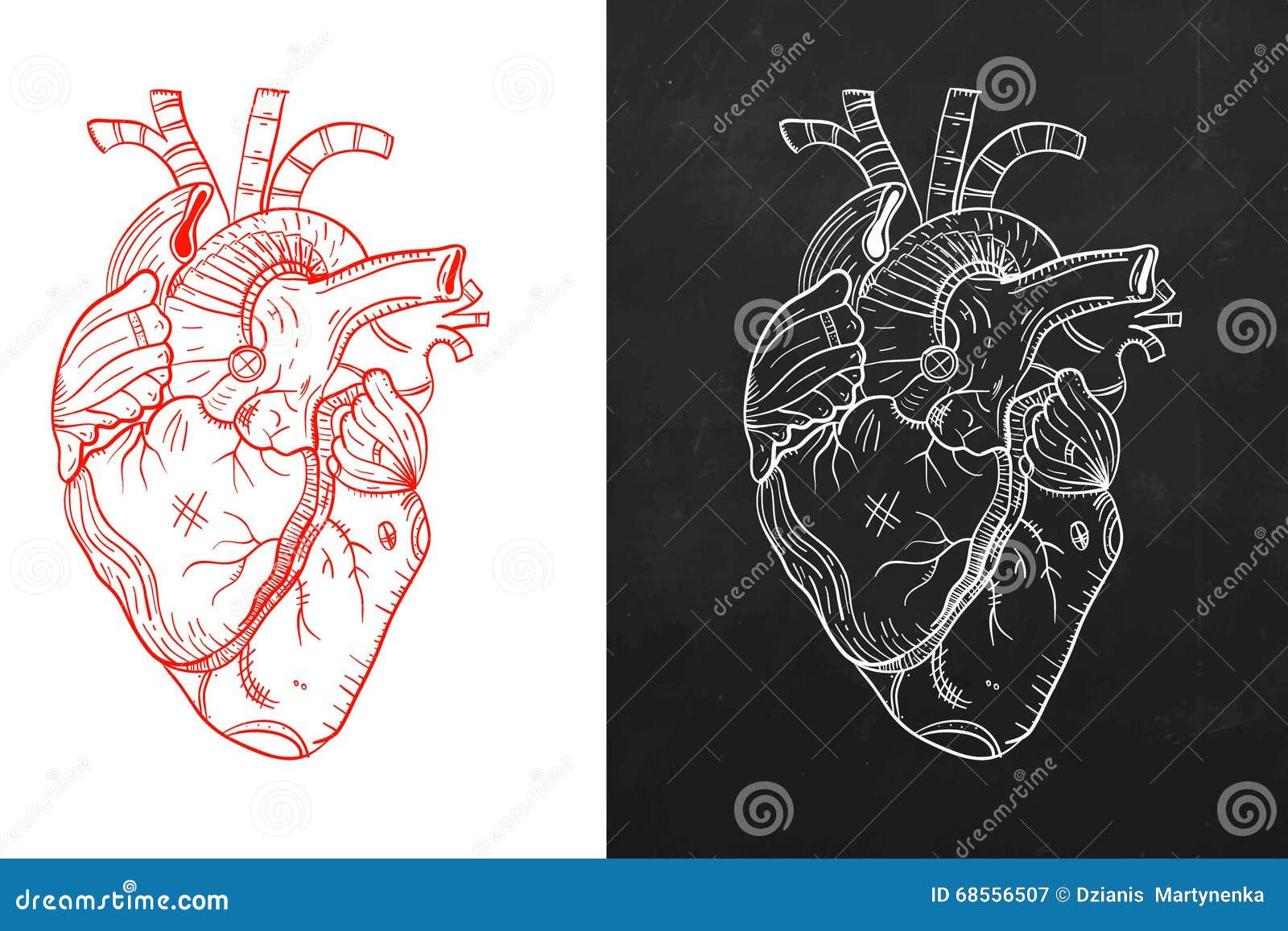 Heart, Natural Heart, Sketch Heart Stock Vector - Illustration of ...