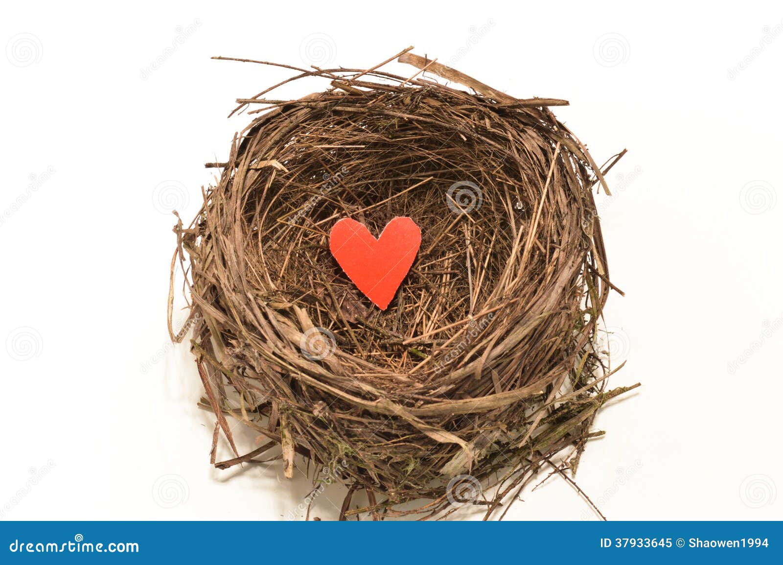 Heart in the nest stock image. Image of family, create - 37933645