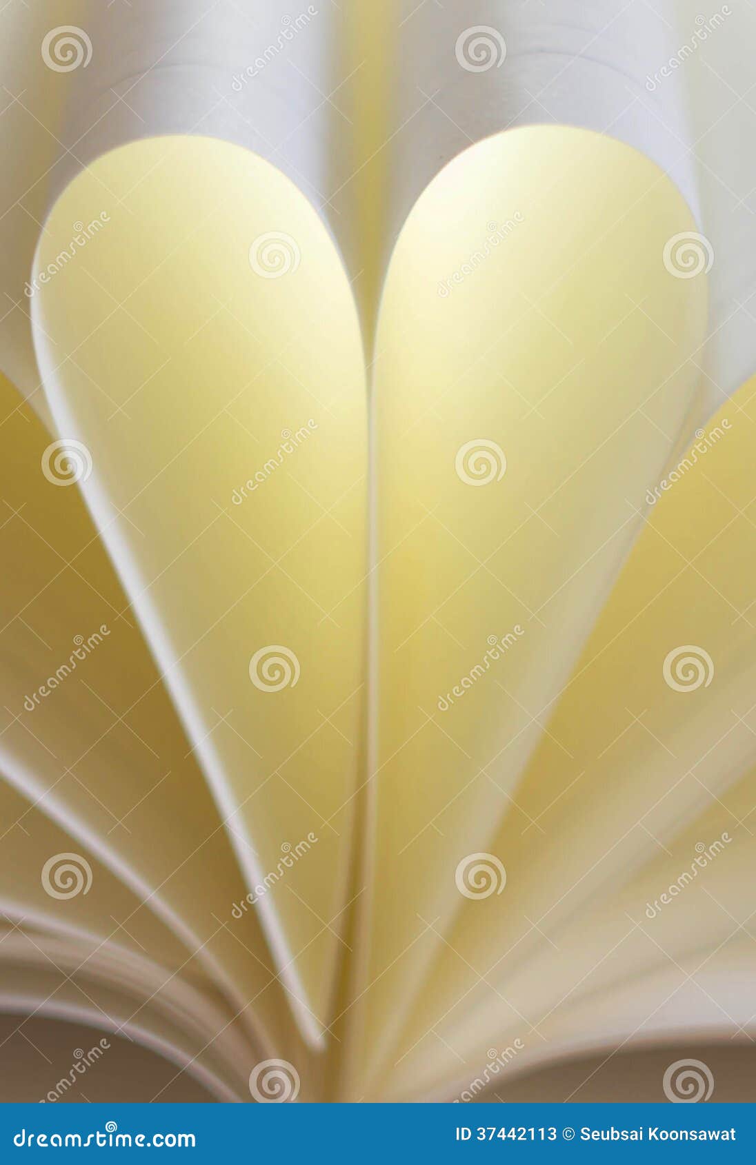 Heart notepad stock image. Image of cute, grandson, eyes - 37442113