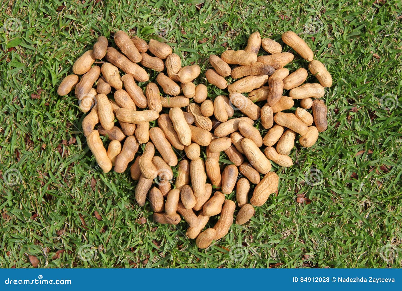 The heart from the nuts. stock photo. Image of green - 84912028