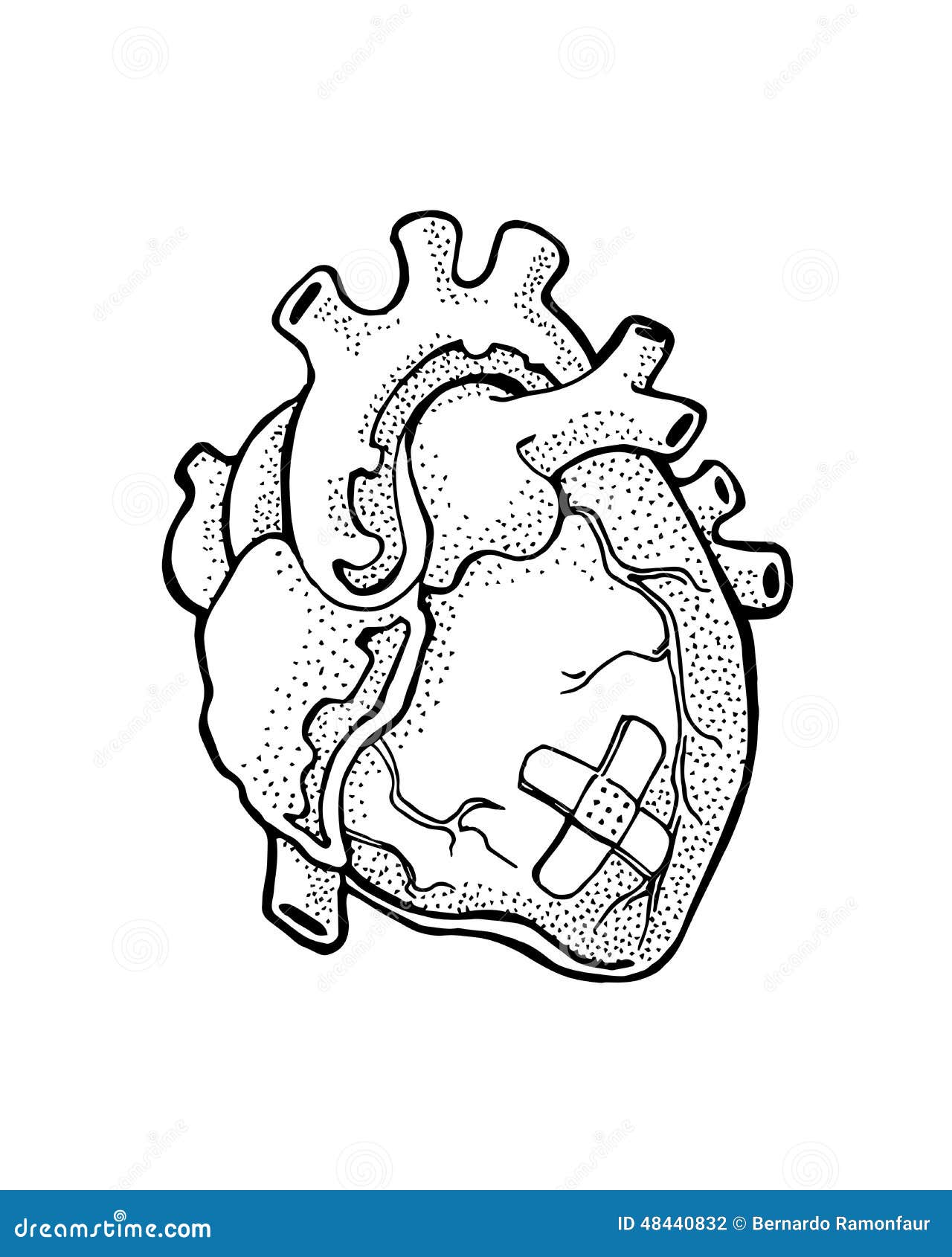 Heart open stock illustration. Illustration of drawn - 48440832