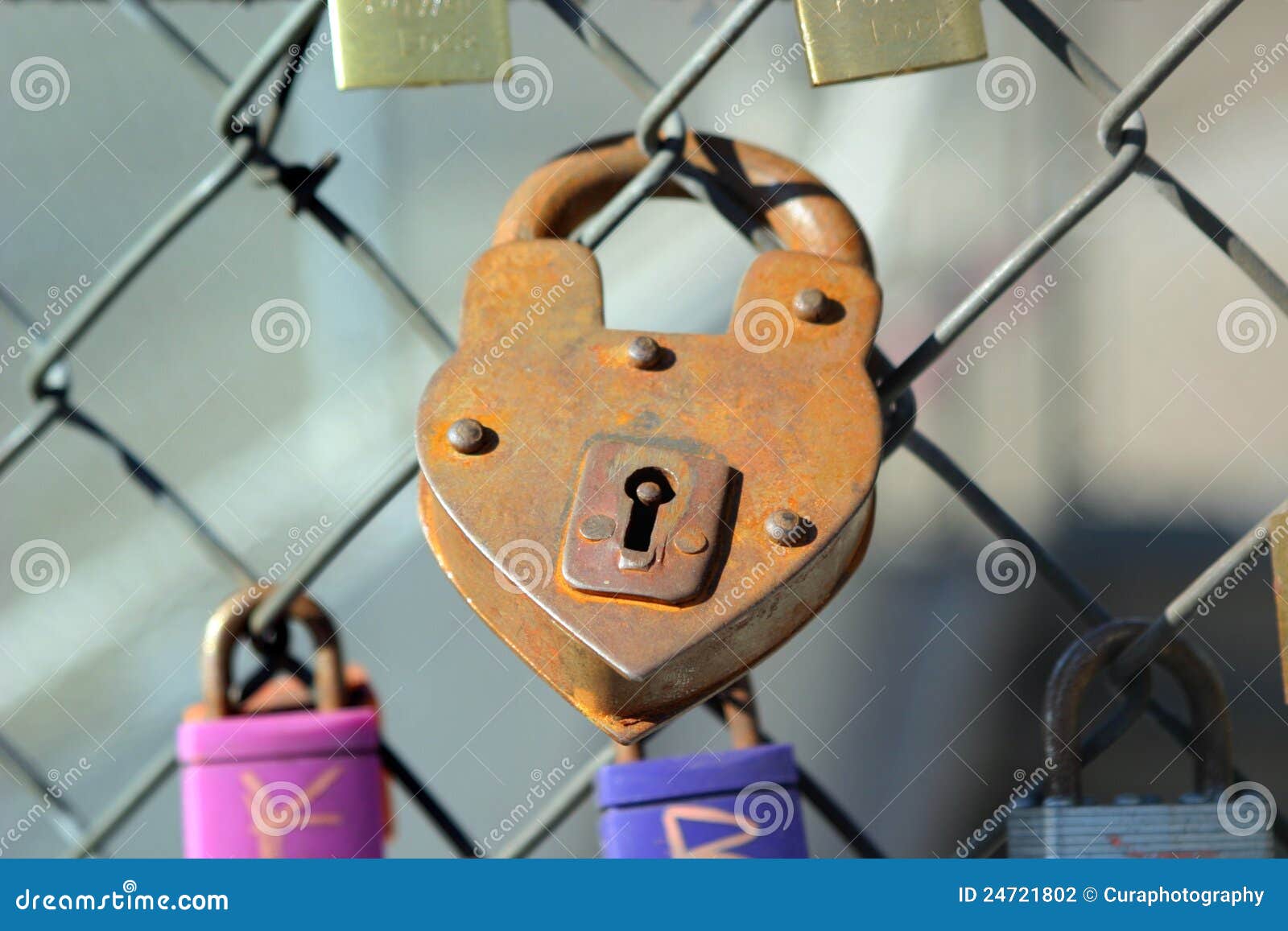 Heart padlock stock photo. Image of safe, shape, fence - 24721802