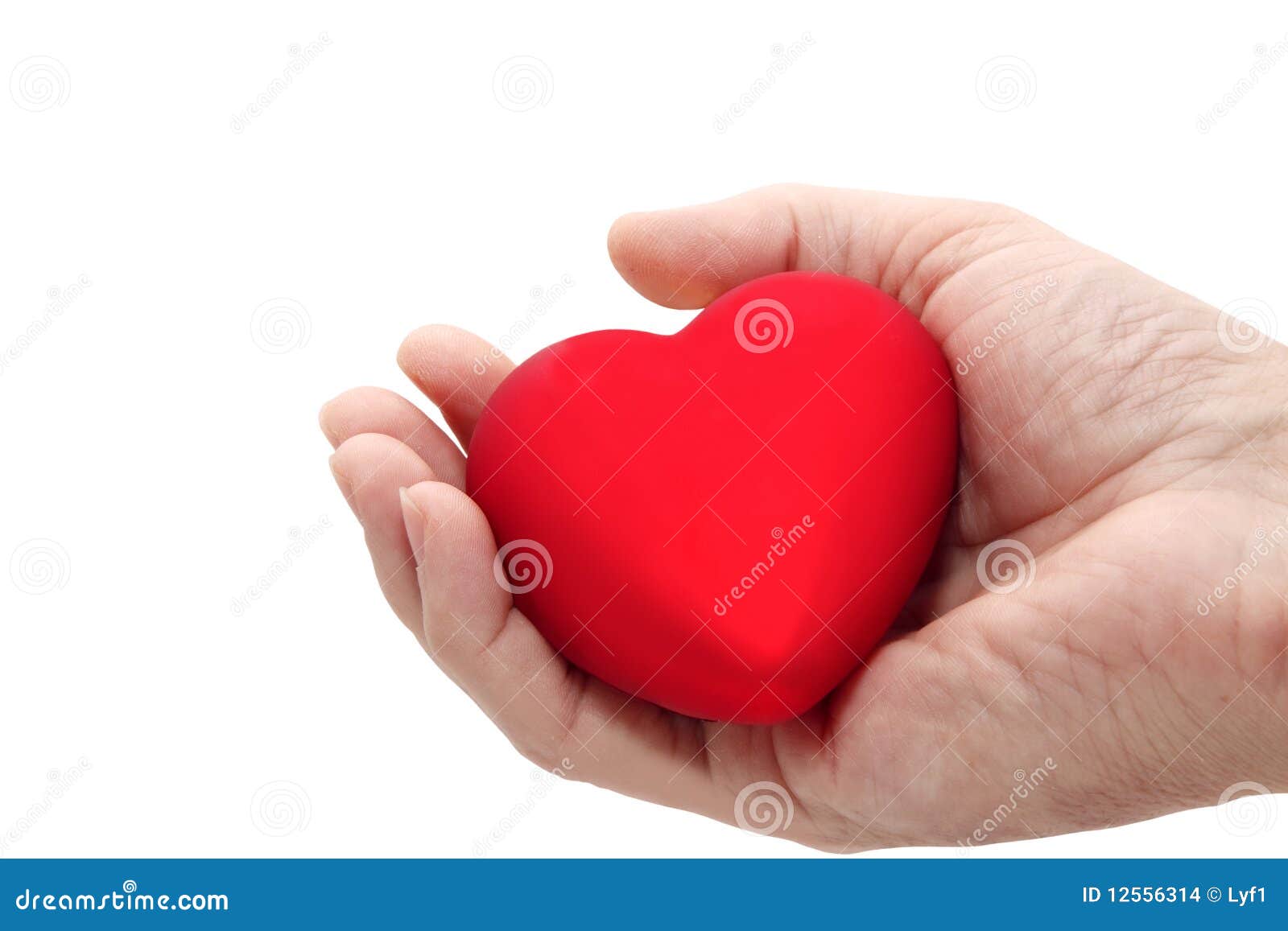 Heart on the palm stock photo. Image of love, hand, holiday - 12556314