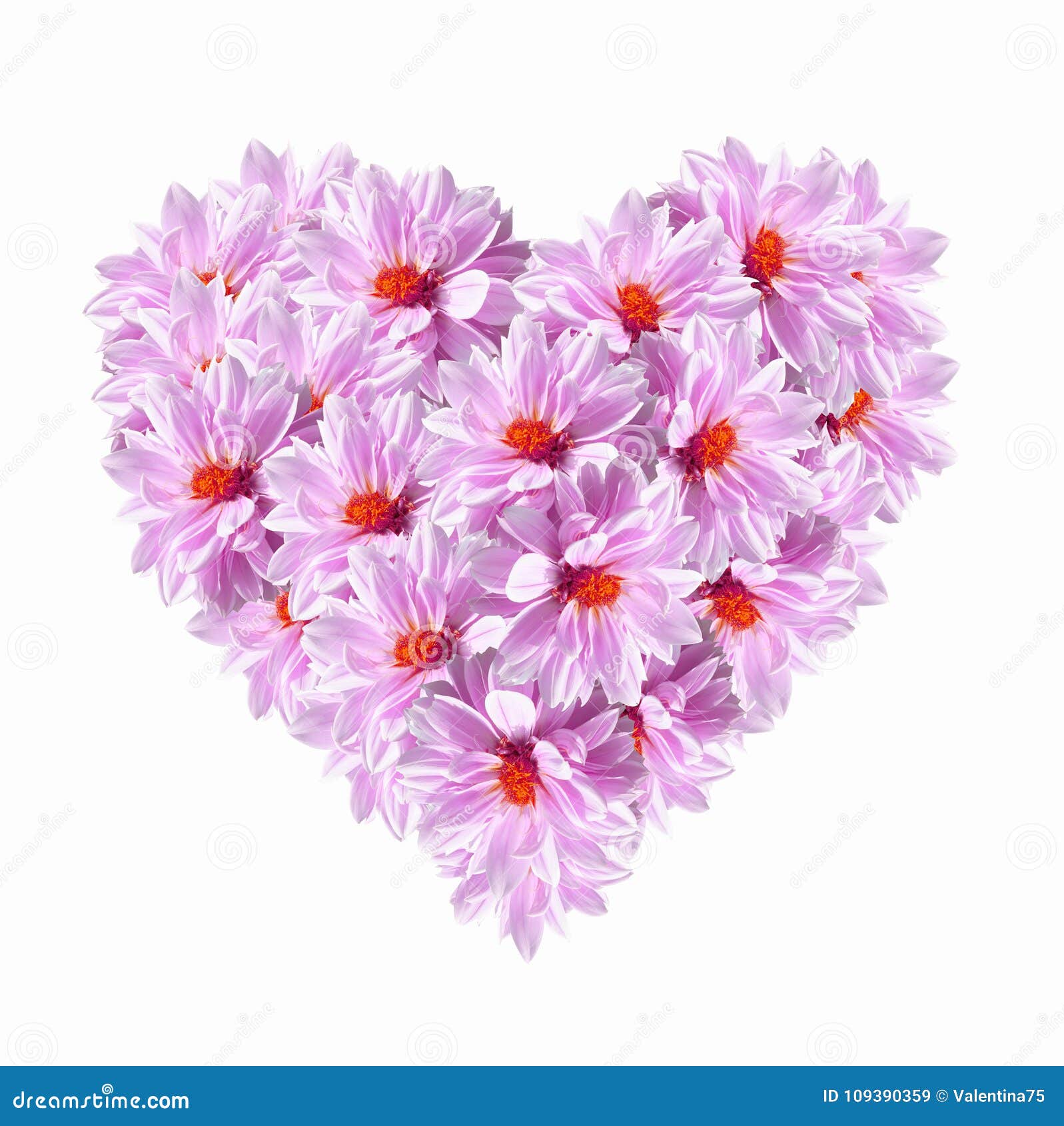 Heart Pink Flowers stock image. Image of orange, beautiful - 109390359