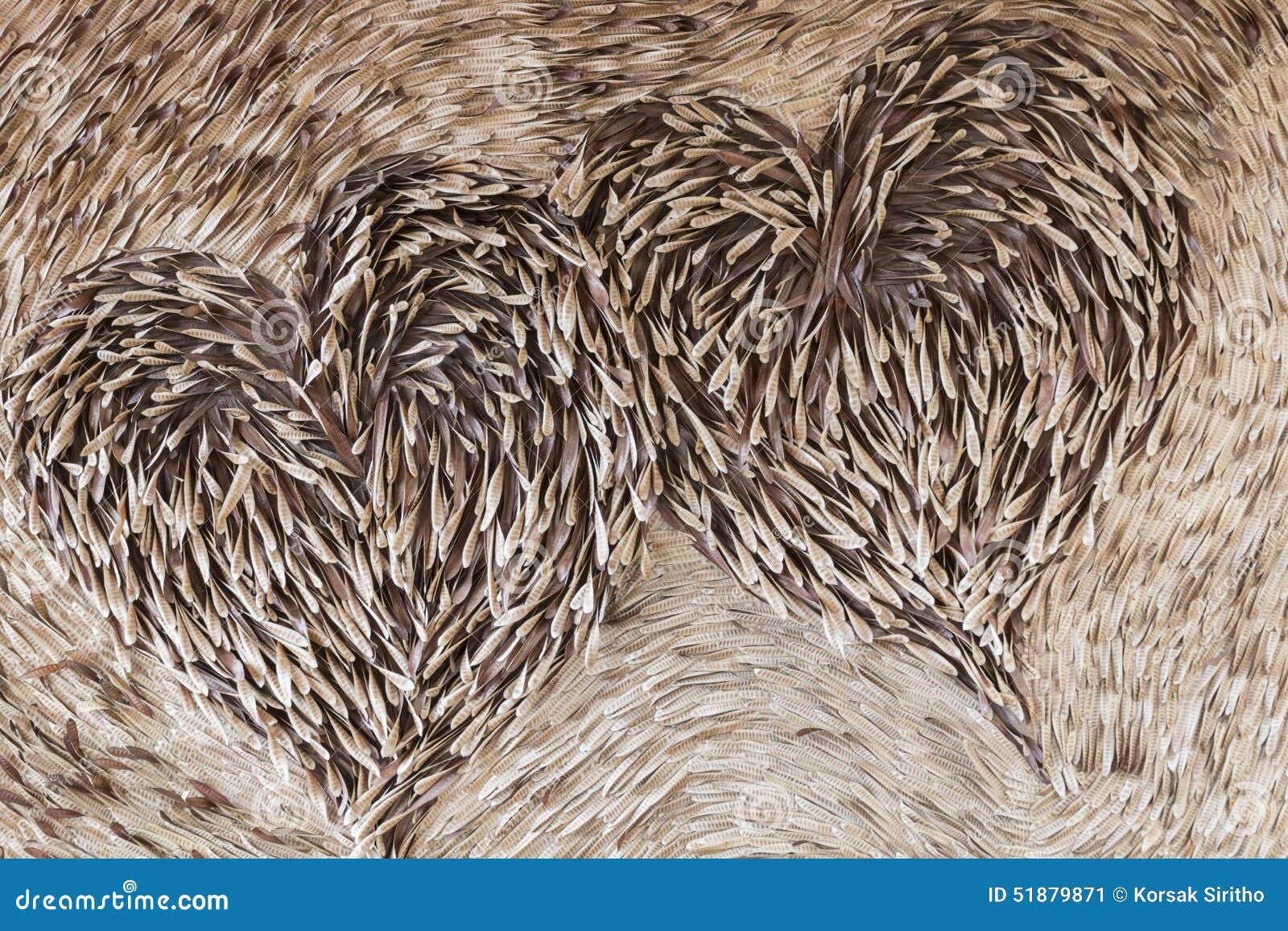 Heart pod stock image. Image of recycle, handicraft, nature - 51879871