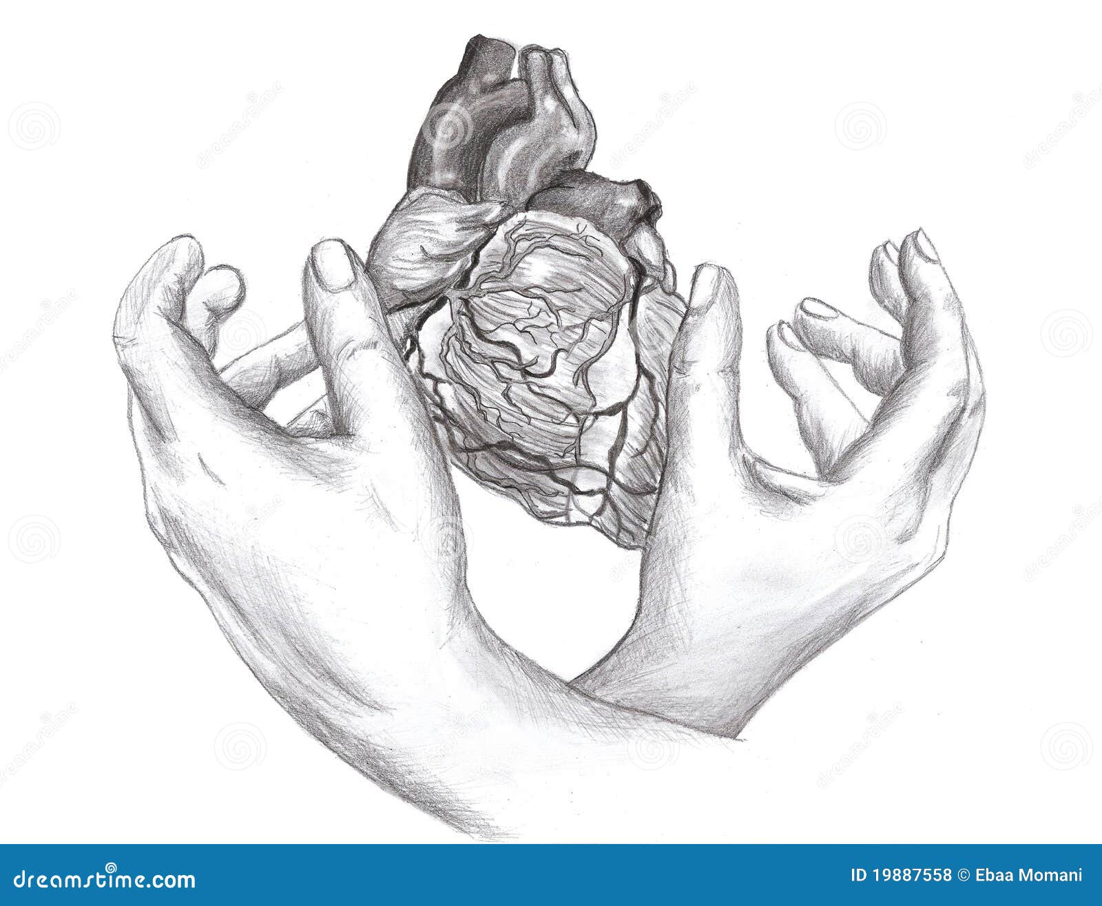 Heart problems stock illustration. Illustration of organ - 19887558