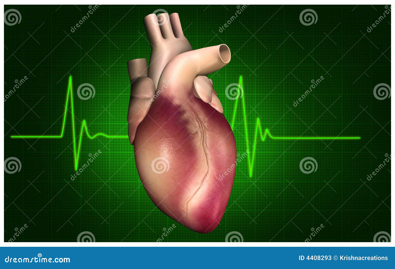 Heart and pulse stock illustration. Illustration of circulatory - 4408293