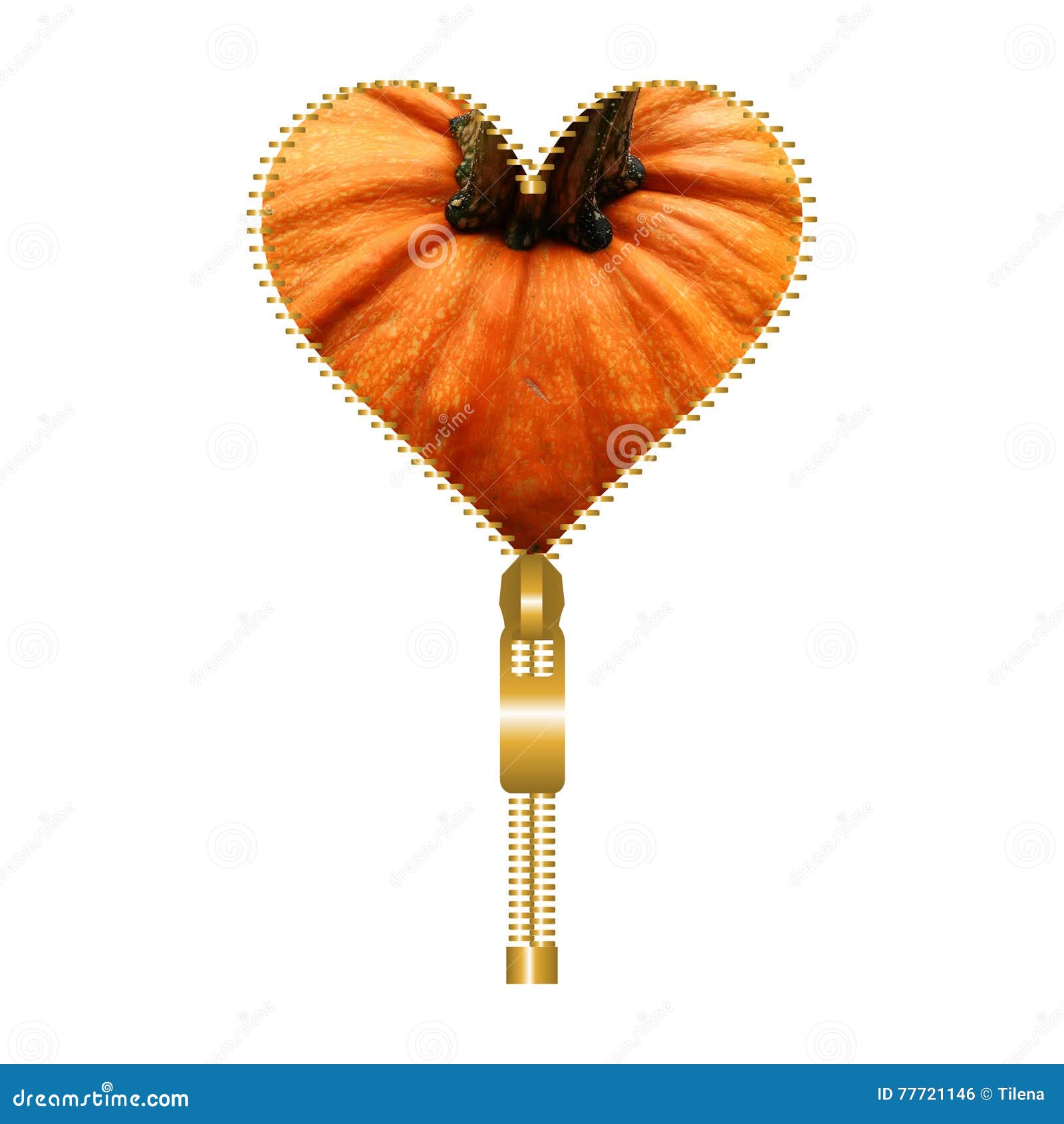 Heart with pumpkin texture stock illustration. Illustration of diet ...