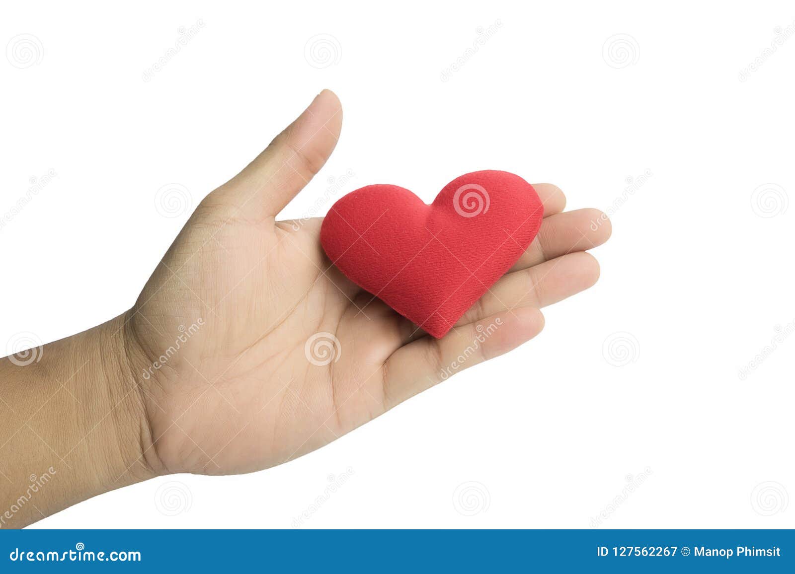 Heart Put on Hand Health Concept Stock Image - Image of hold, medicine ...