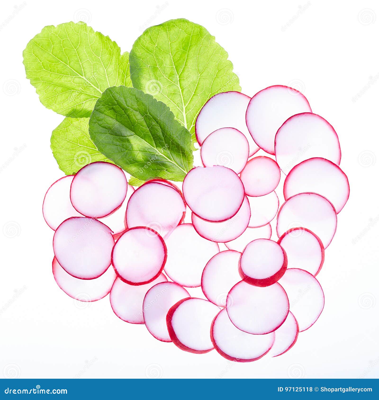Heart of Radish stock photo. Image of tasty, ingredient - 97125118