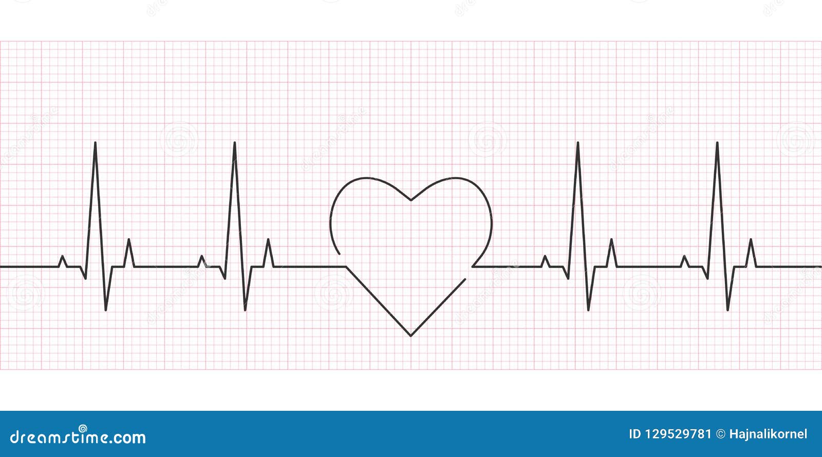 Heart Rate Cardiogram And Ekg Concept Stock Vector Illustration Of