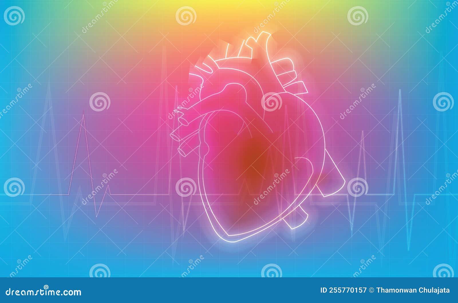 Heart rate measurement stock vector. Illustration of measurement ...