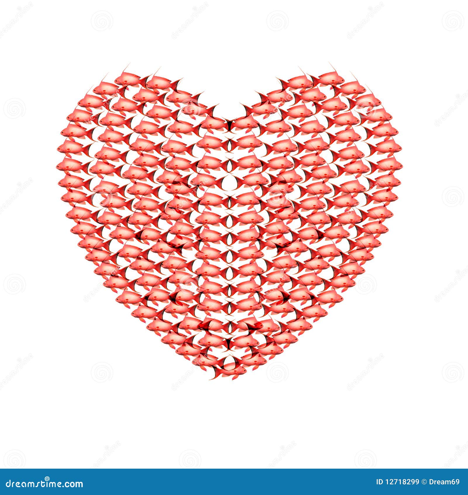 Heart and red fish stock image. Image of fish, swimming - 12718299
