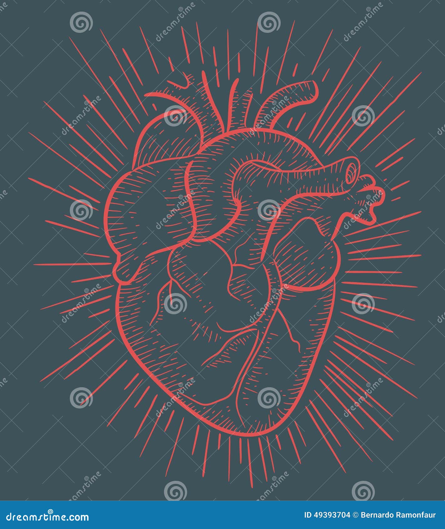 Heart on red stock vector. Illustration of body, hand - 49393704