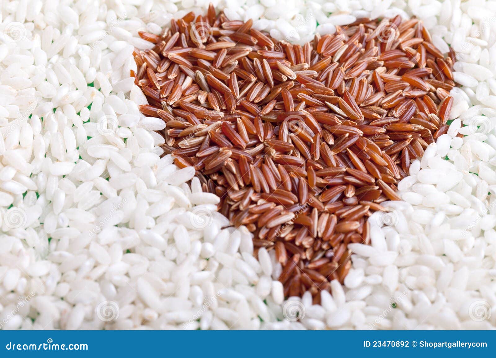 Heart of Red Rice stock photo. Image of brown, grain - 23470892