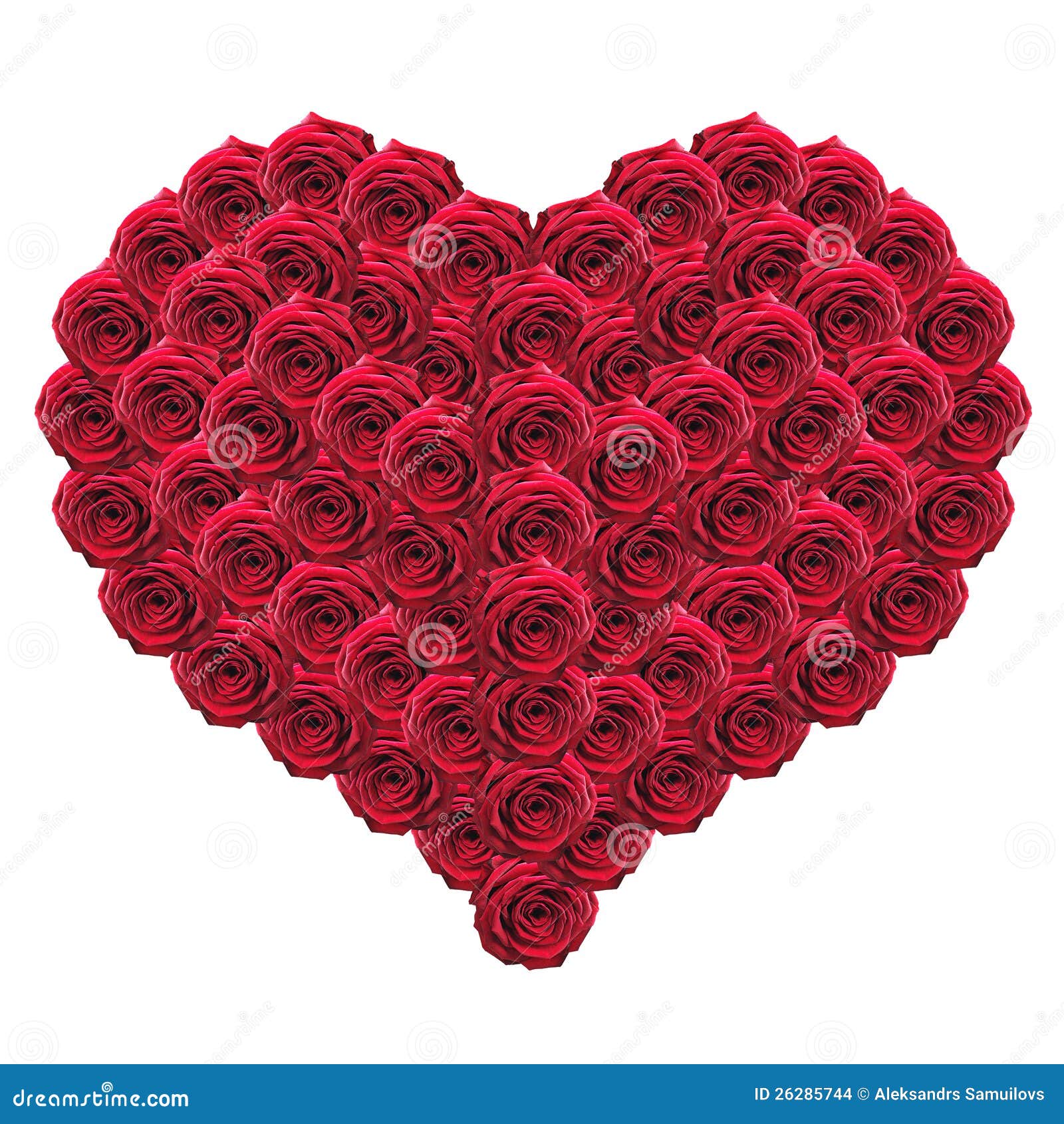 Heart of red roses stock photo. Image of plant, symbol - 26285744