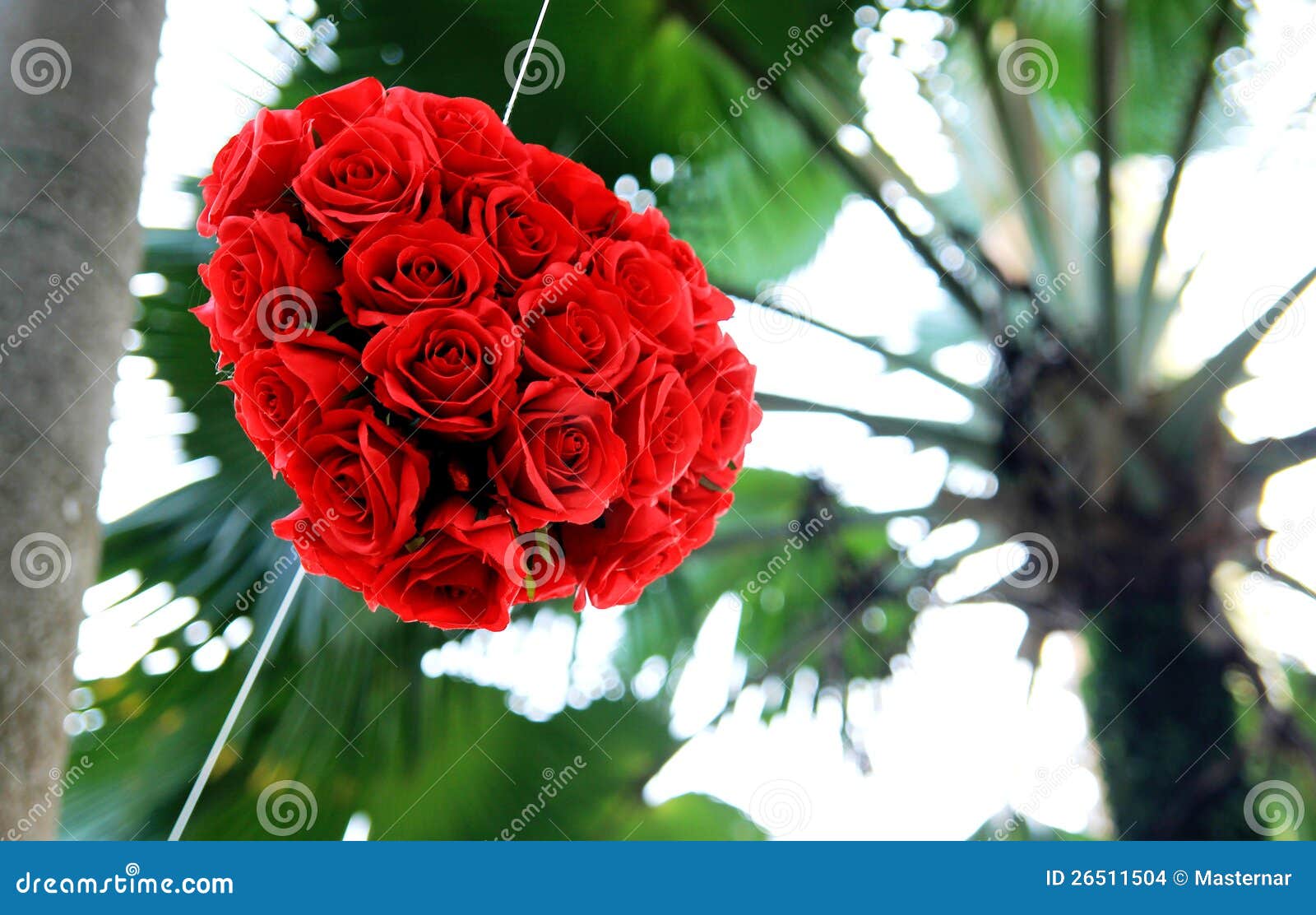 Heart Red Roses stock photo. Image of bouquet, heart - 26511504