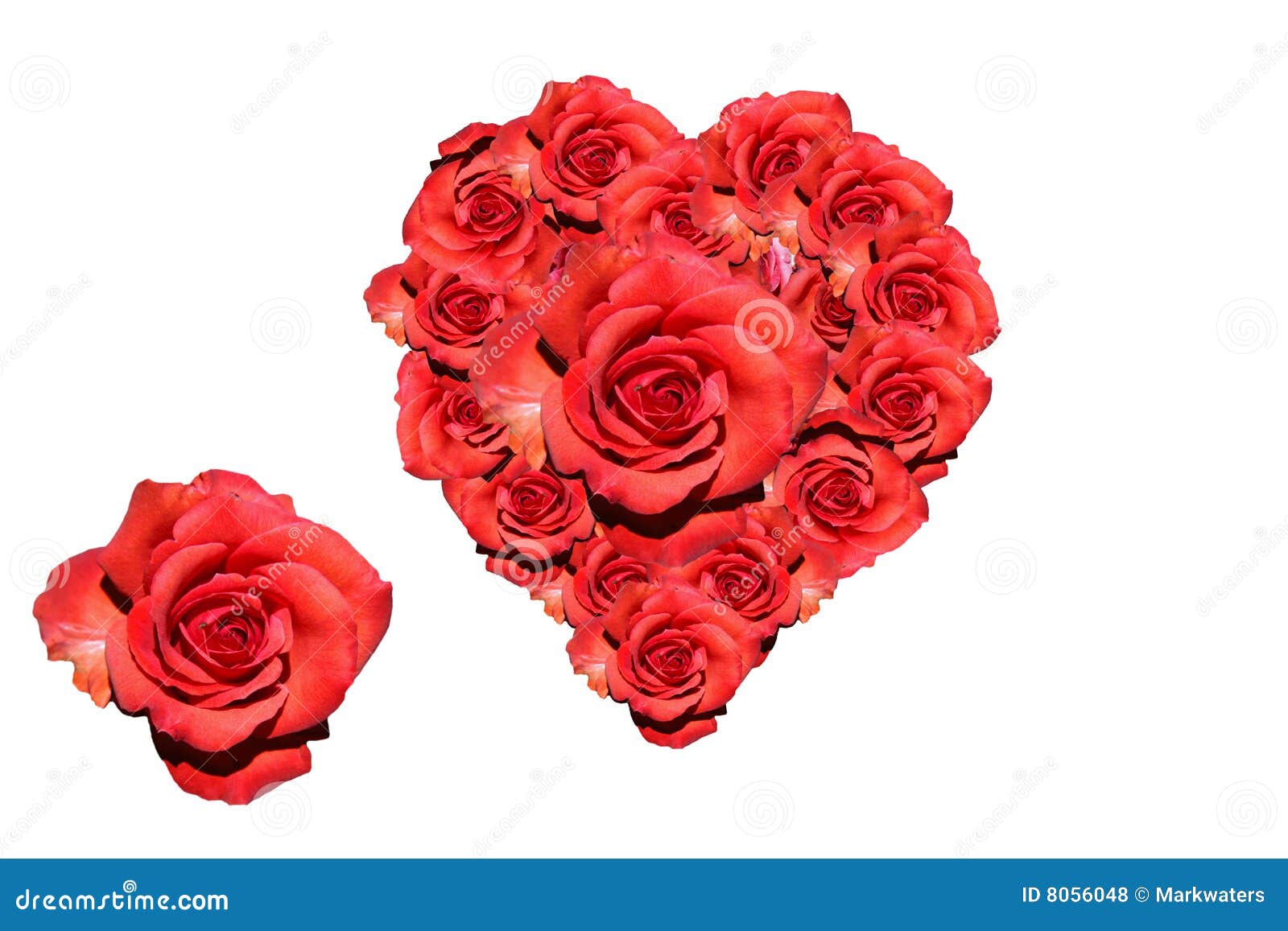 Heart of red roses stock photo. Image of blumen, valentinstag - 8056048