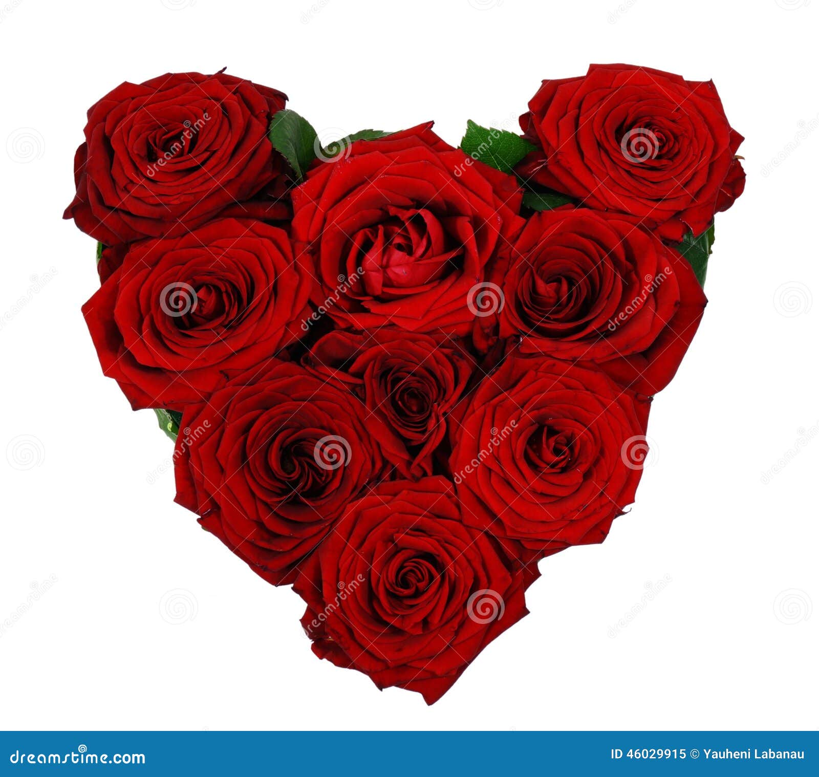 Heart of red roses stock image. Image of flower, floral - 46029915