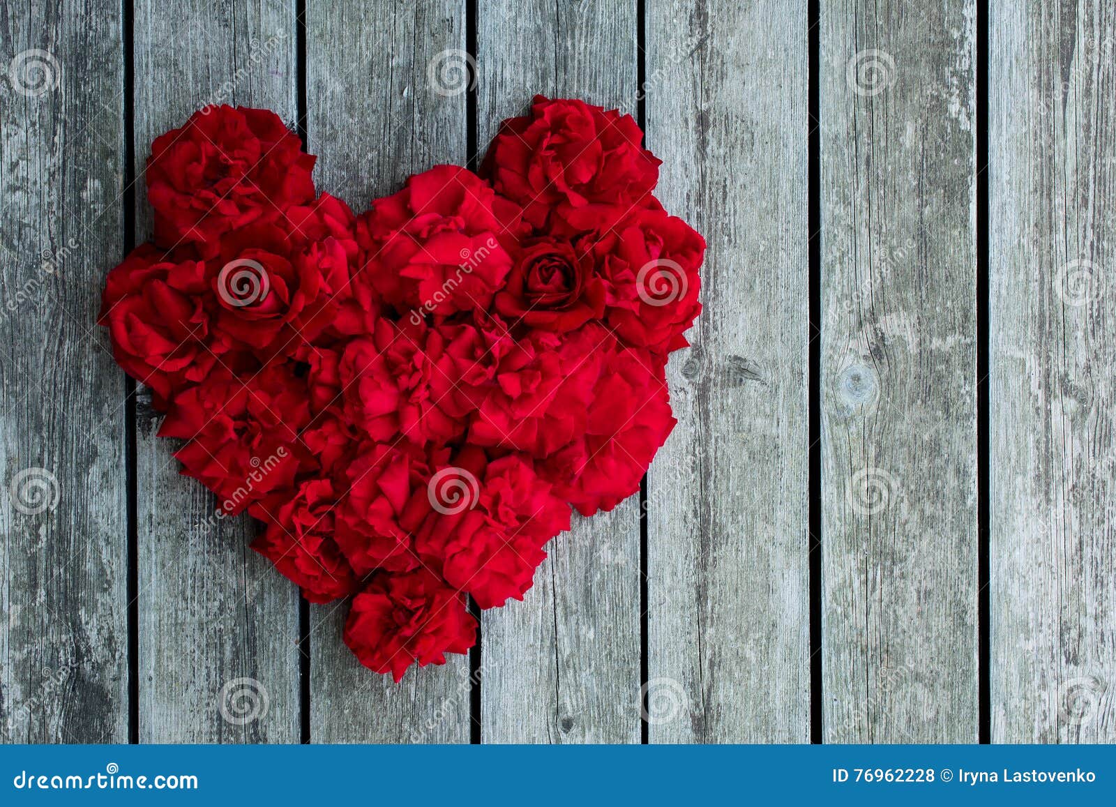Heart of red roses. stock photo. Image of plant, obsolete - 76962228