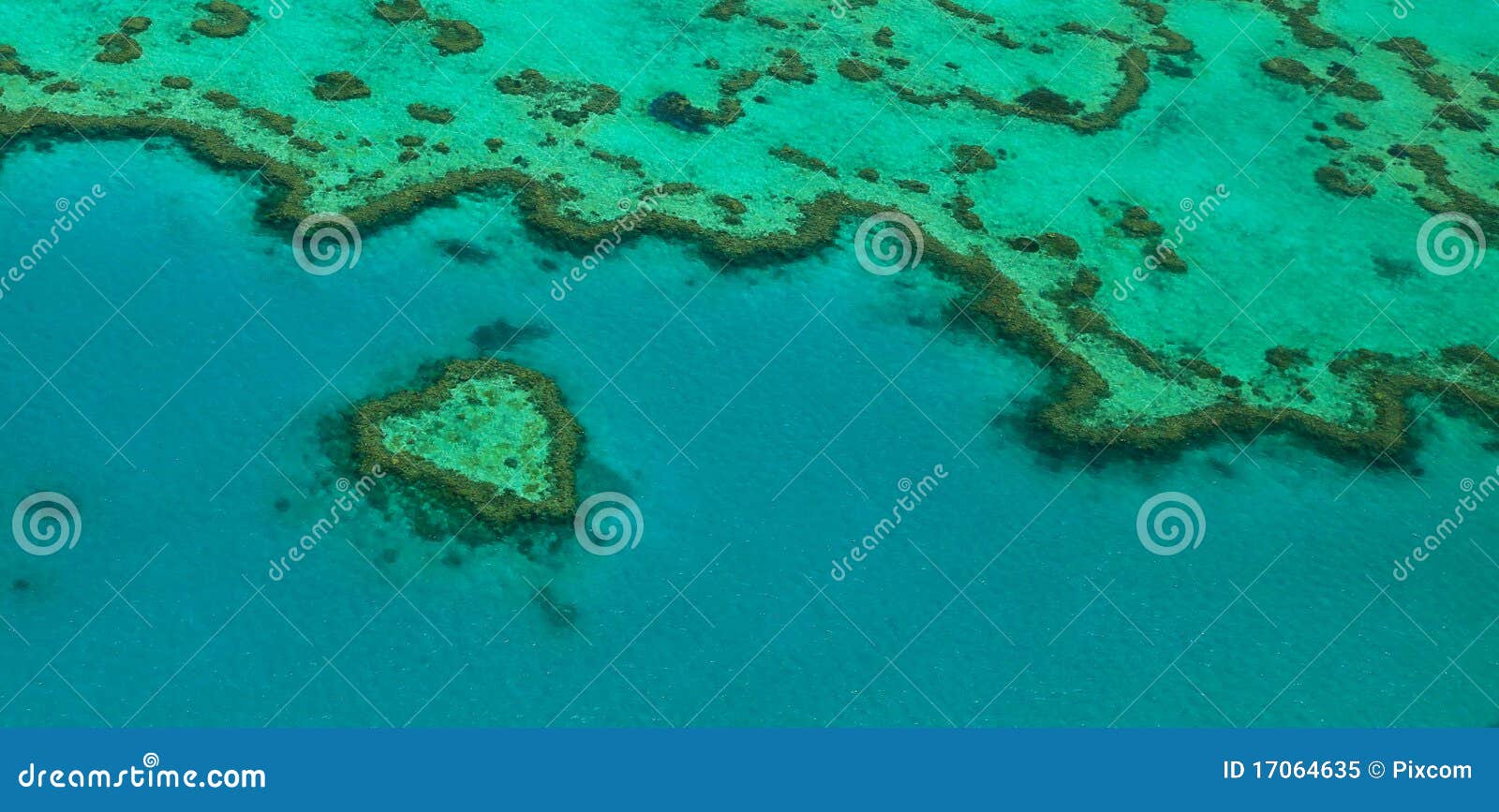 Heart Reef stock image. Image of cairns, reef, dive, beauty - 17064635